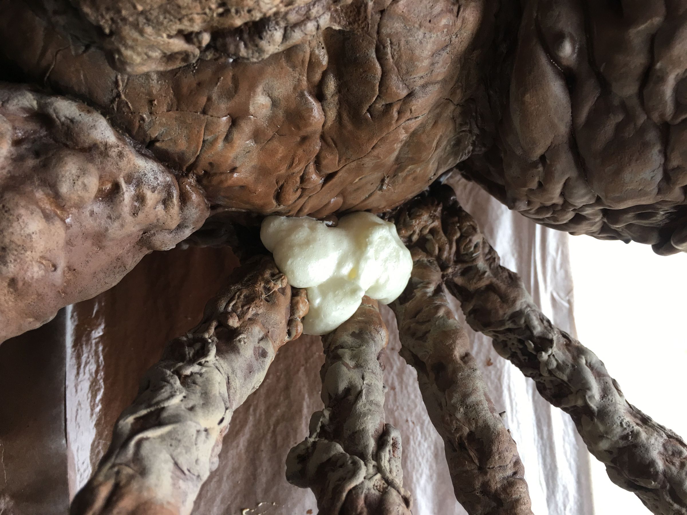 Hunchback Witch With Pet Spider : 11 Steps (with Pictures) - Instructables