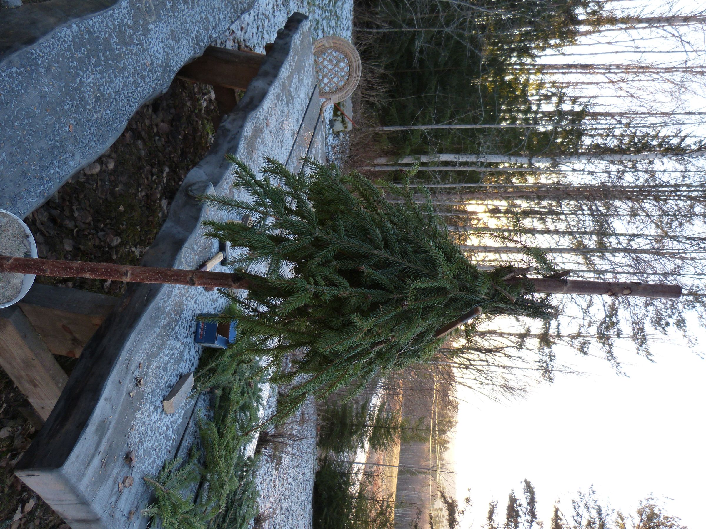 Easy Whimsical Christmas Trees From Branches : 9 Steps (with Pictures ...