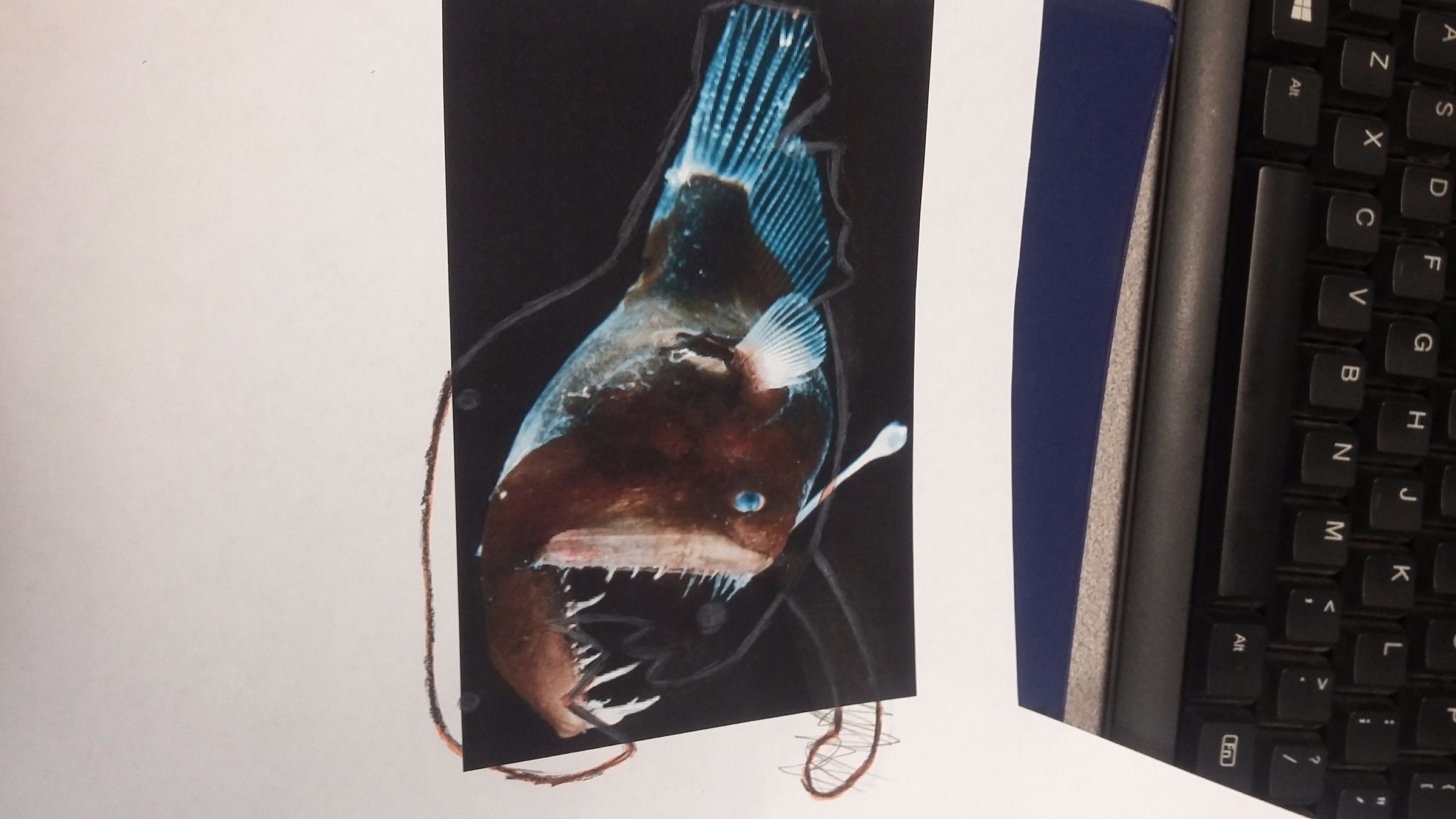 How to Make a Wooden Angler Fish Toy : 12 Steps - Instructables