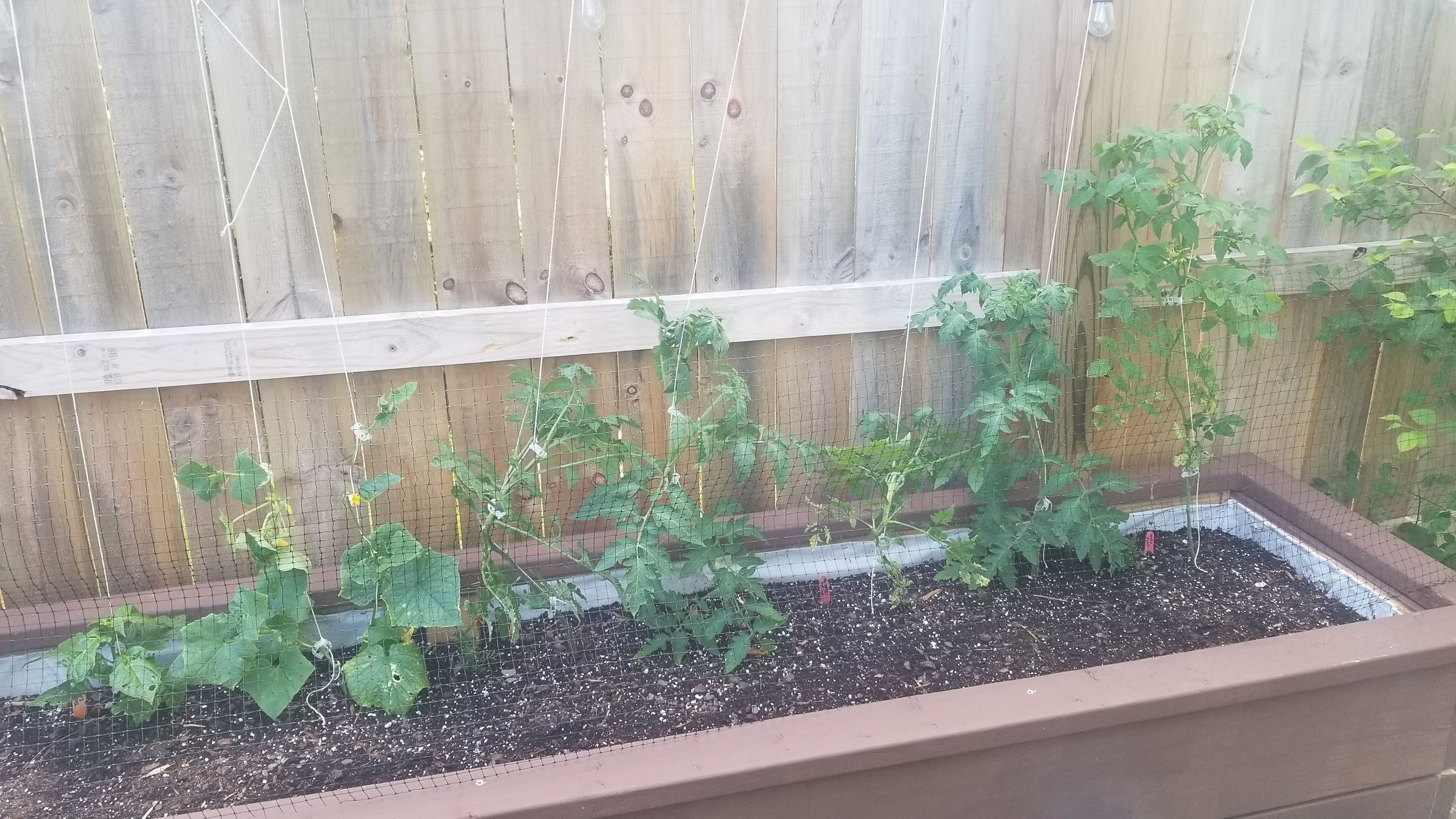 SIP Raised Garden Bed : 8 Steps (with Pictures) - Instructables