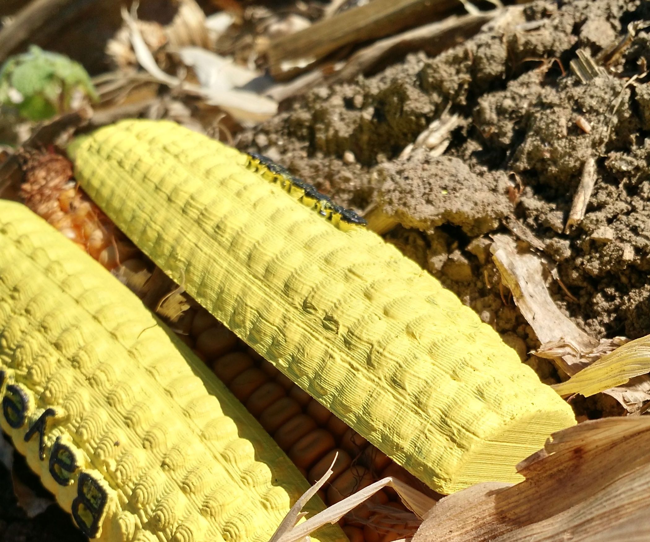 How to Make and Print a 3D Corn Cob With Spikes : 21 Steps (with ...