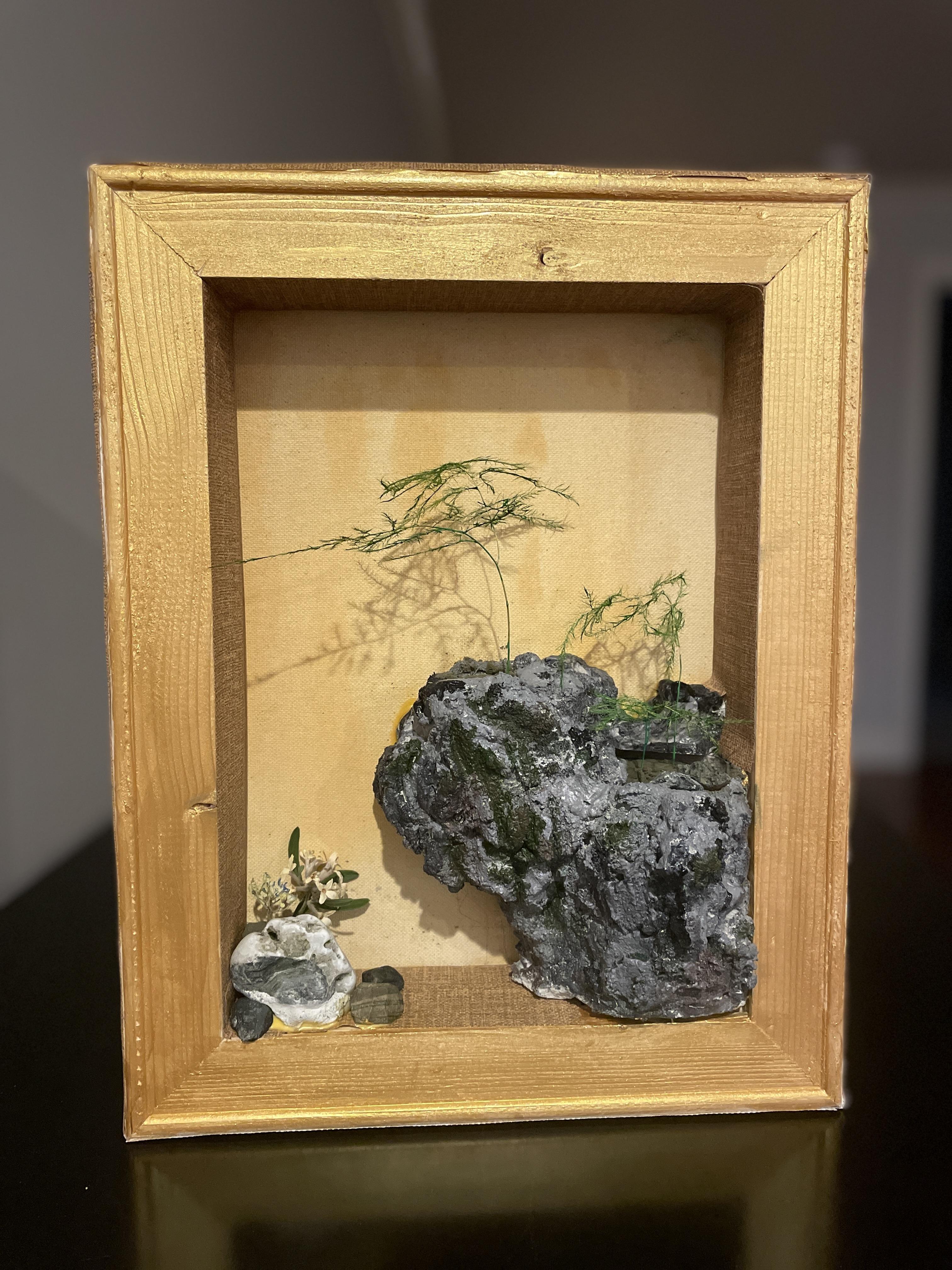 Rock Garden Frame Made of Concrete, Rock, Plants, and Other Used ...