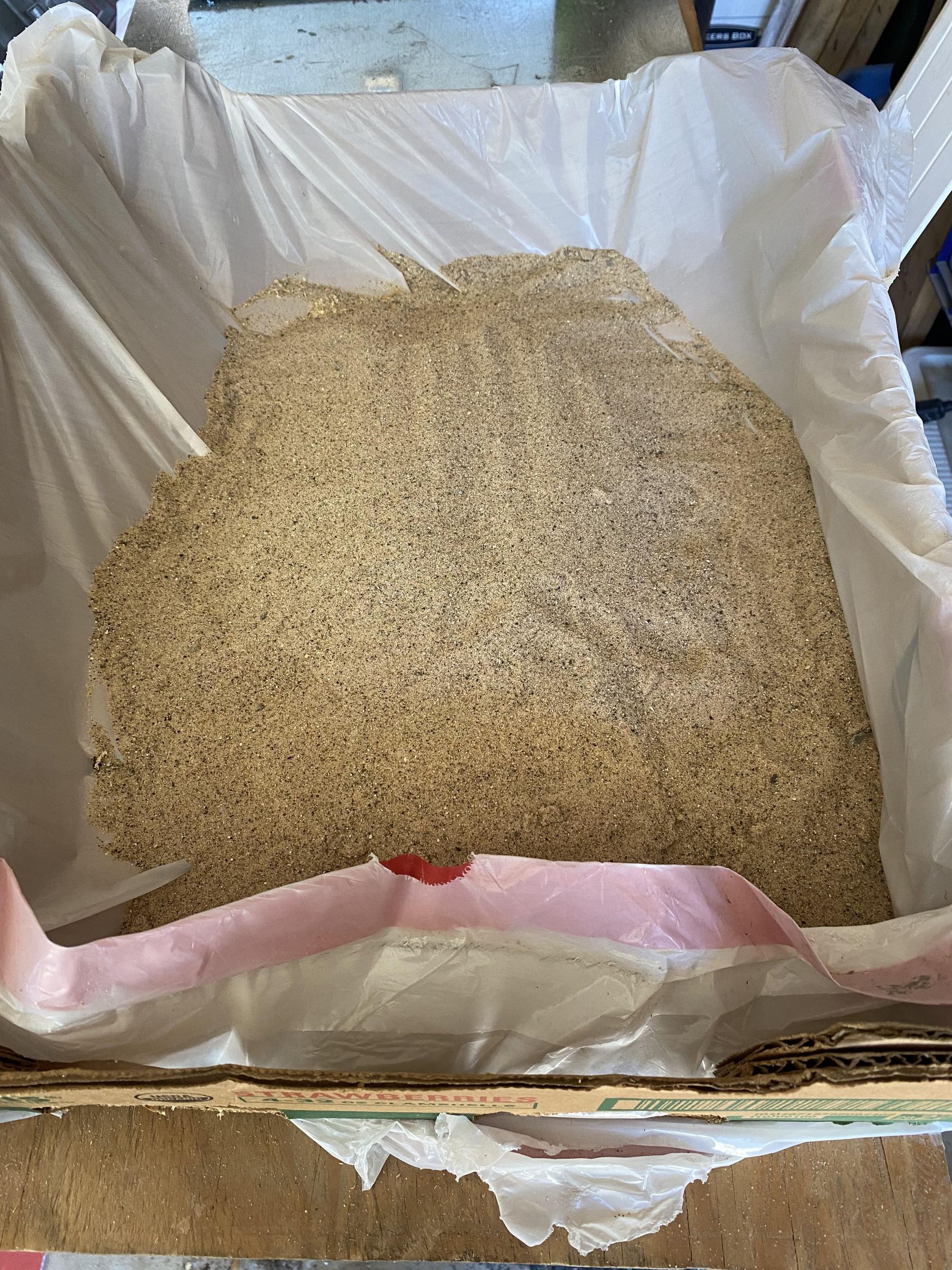 Cement Leaf Casting : 8 Steps (with Pictures) - Instructables