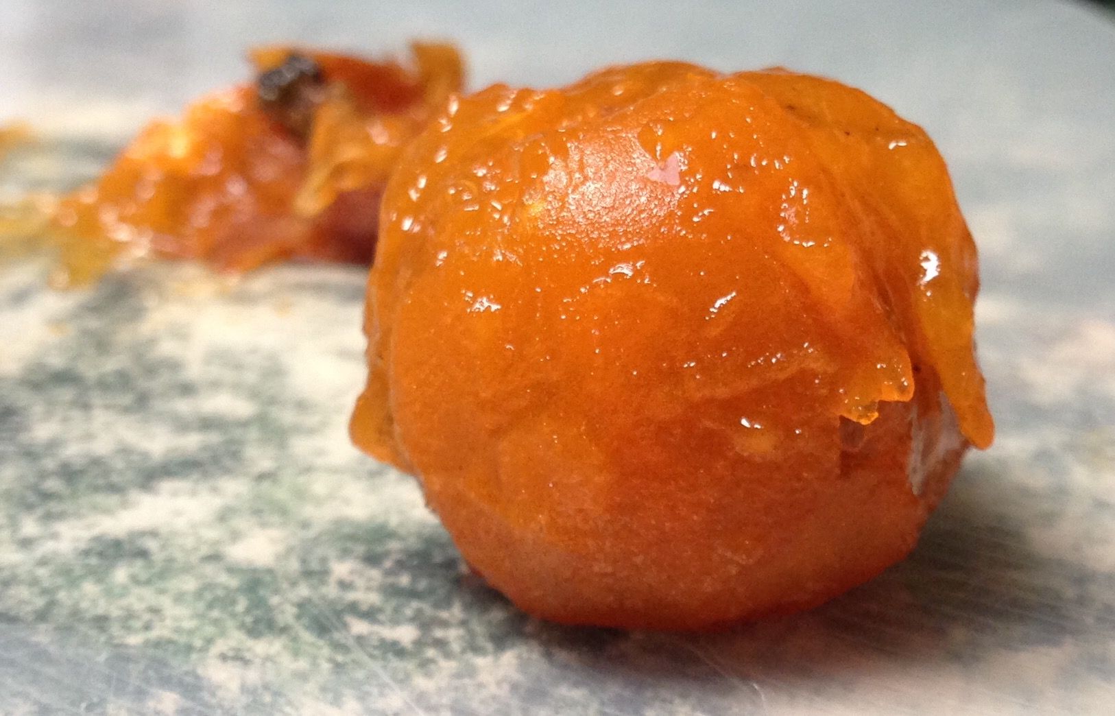 Harvesting, Processing, Cooking - Native Persimmon Bread : 18 Steps ...
