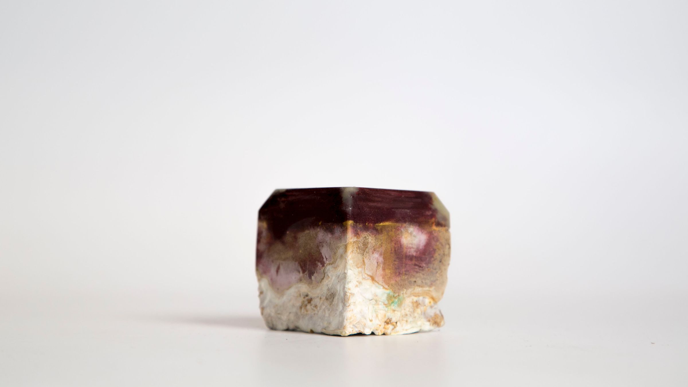 Mycelial Forms : 9 Steps (with Pictures) - Instructables