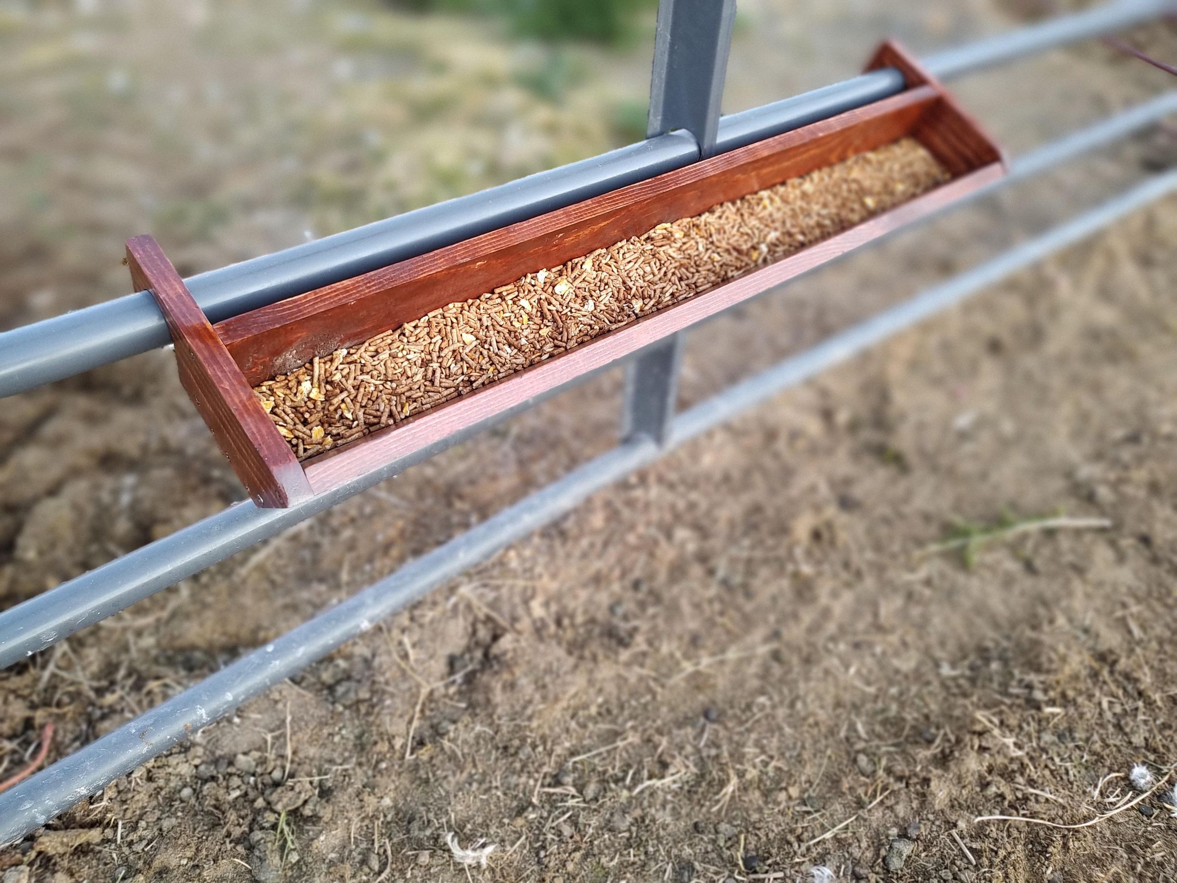 Livestock Feeder : 11 Steps (with Pictures) - Instructables