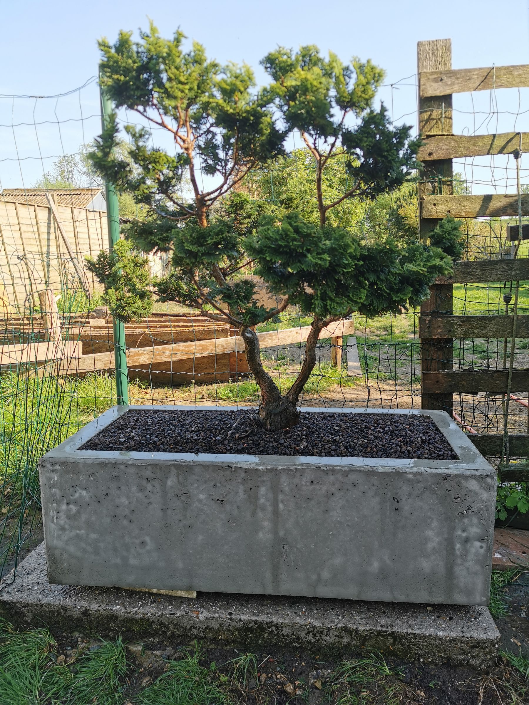 Cheap and Stylish DIY Concrete Pots : 9 Steps (with Pictures ...