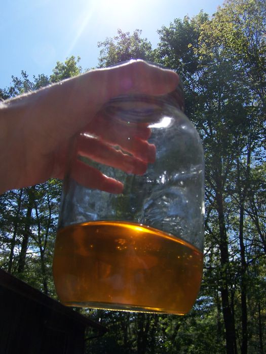 Make Biodiesel! : 8 Steps (with Pictures) - Instructables