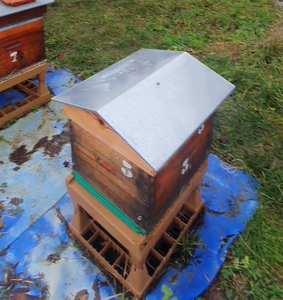 A Connected Hive : 7 Steps (with Pictures) - Instructables