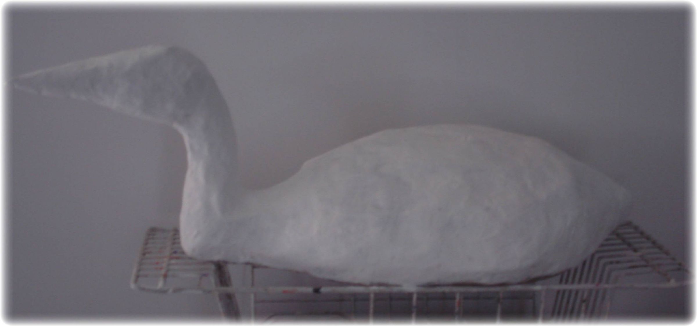 Recycle Plastic Grocery Bags, Wire Hangers and Newspaper Into Loons ...