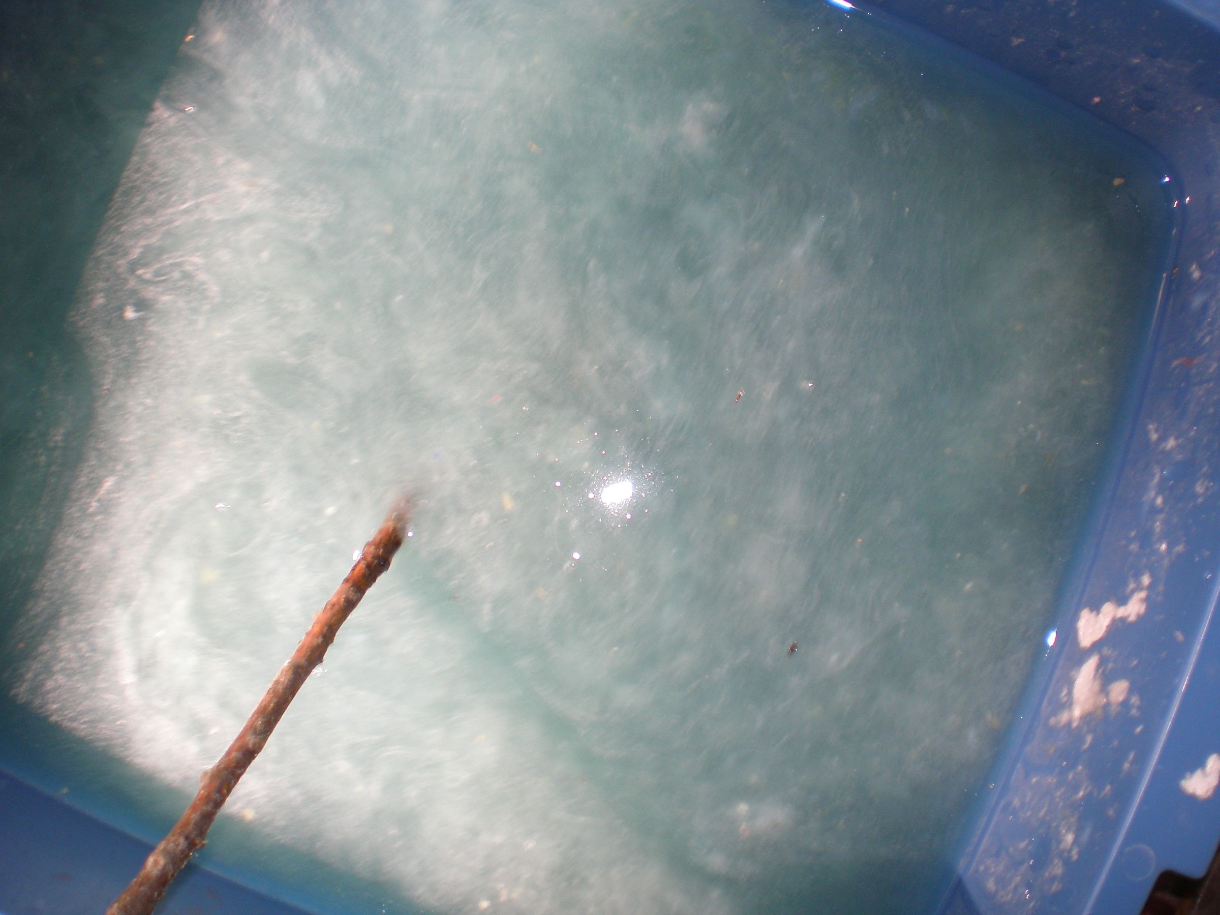 Recycled Paper in 5 Easy Steps! : 5 Steps - Instructables