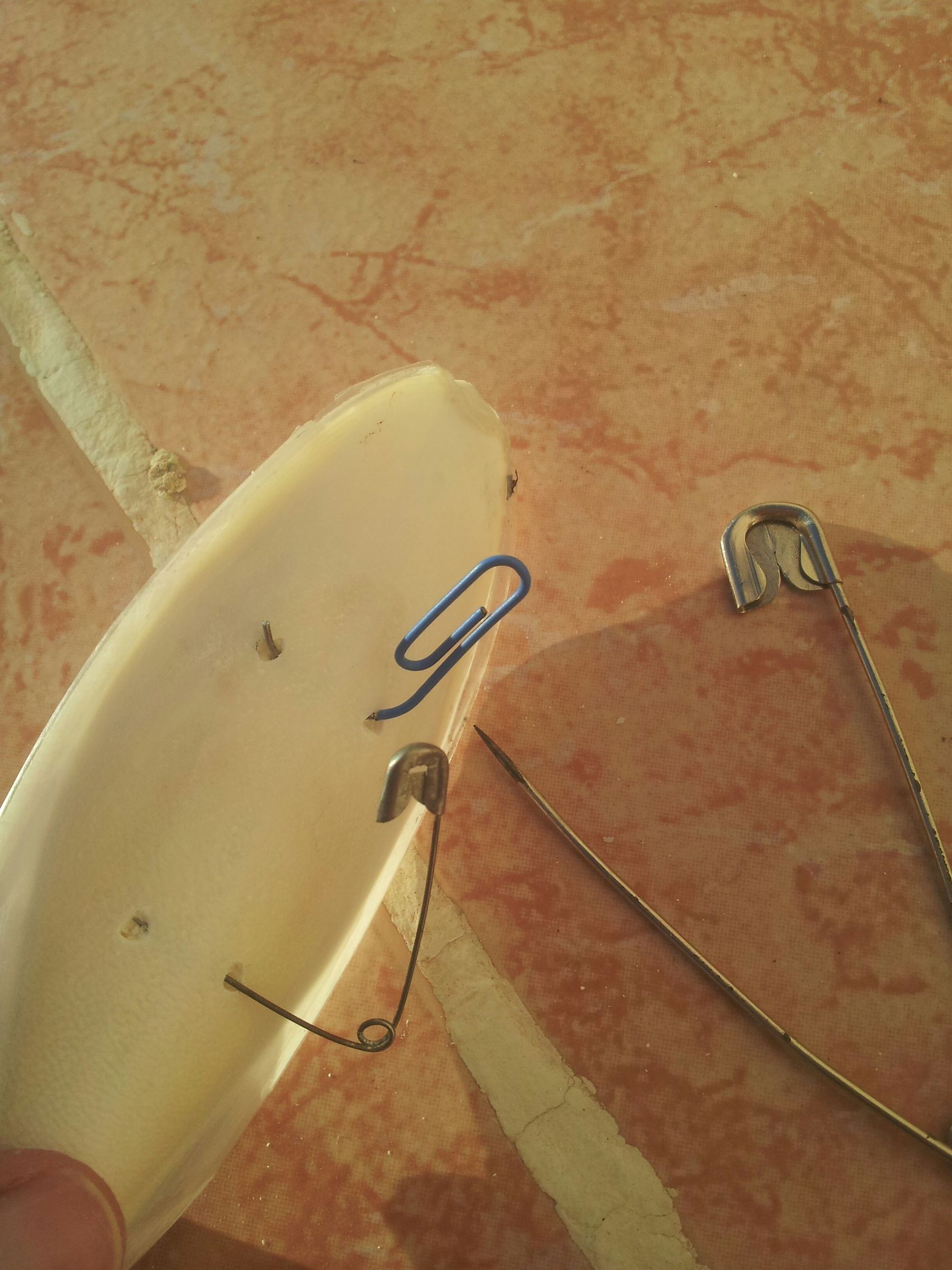 Zip Tie Cuttlebone Holder for Birds : 6 Steps - Instructables