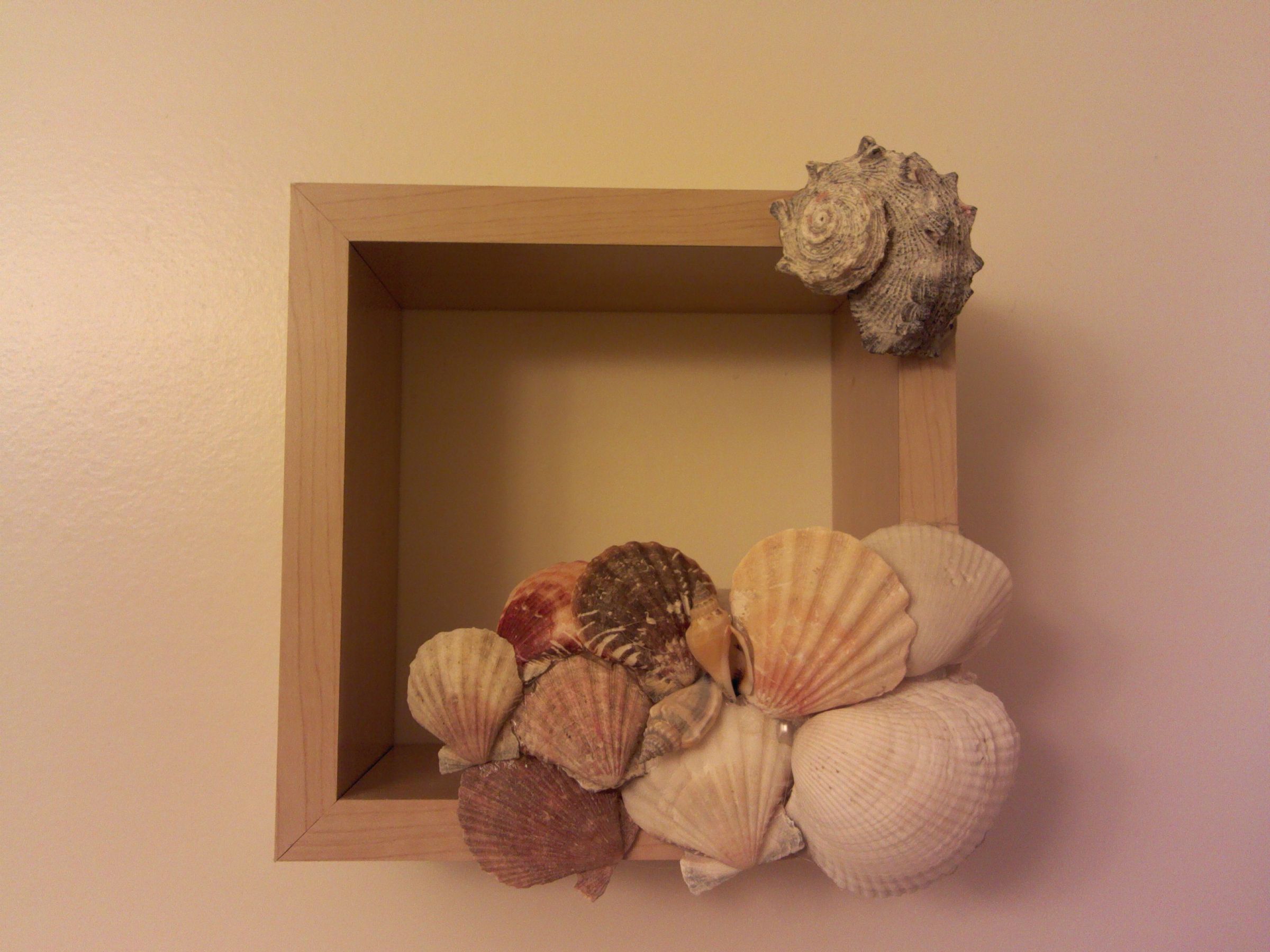Seashell Wall Art! : 5 Steps - Instructables