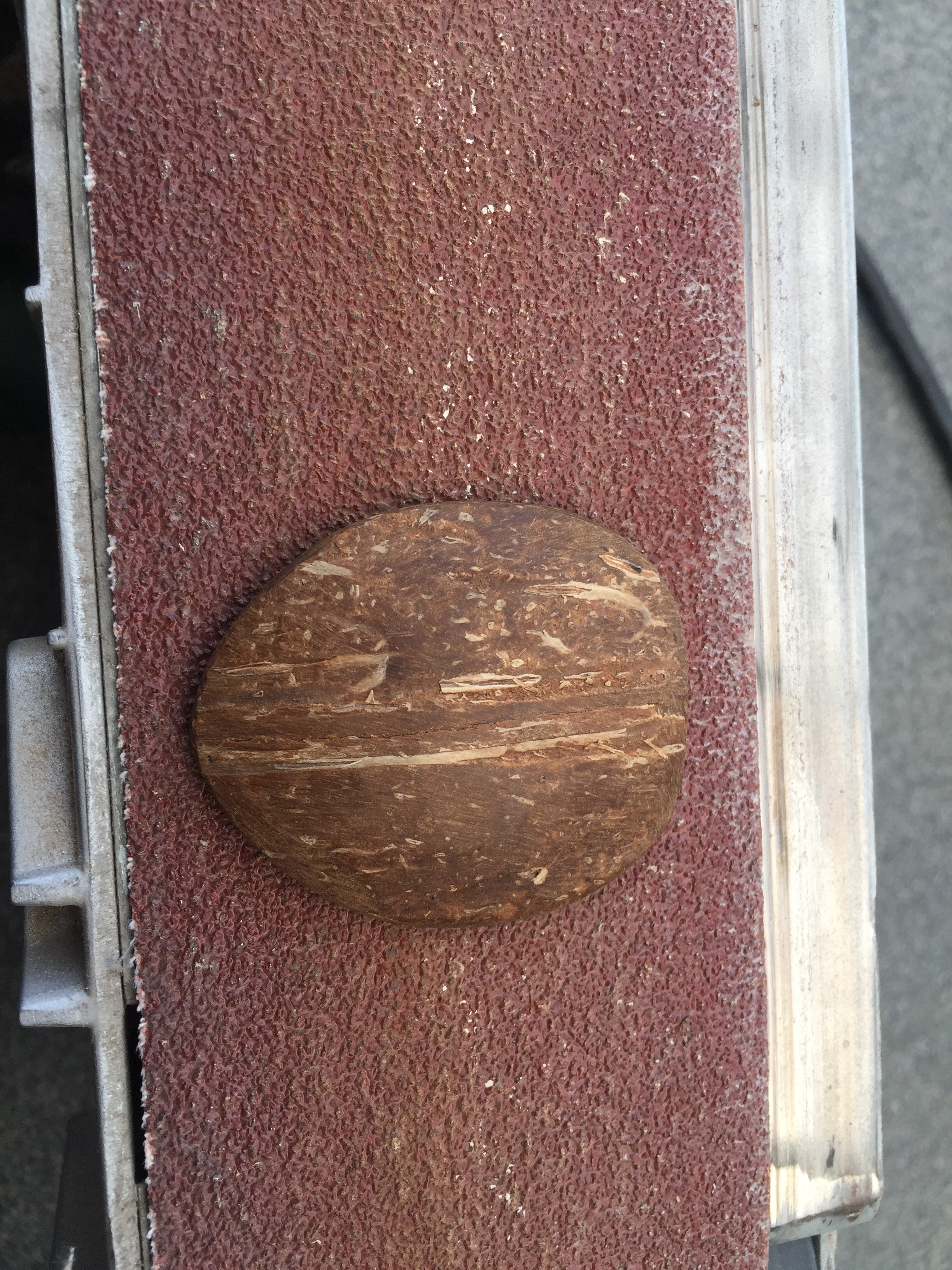 Turtle Shell From Coconut : 6 Steps (with Pictures) - Instructables