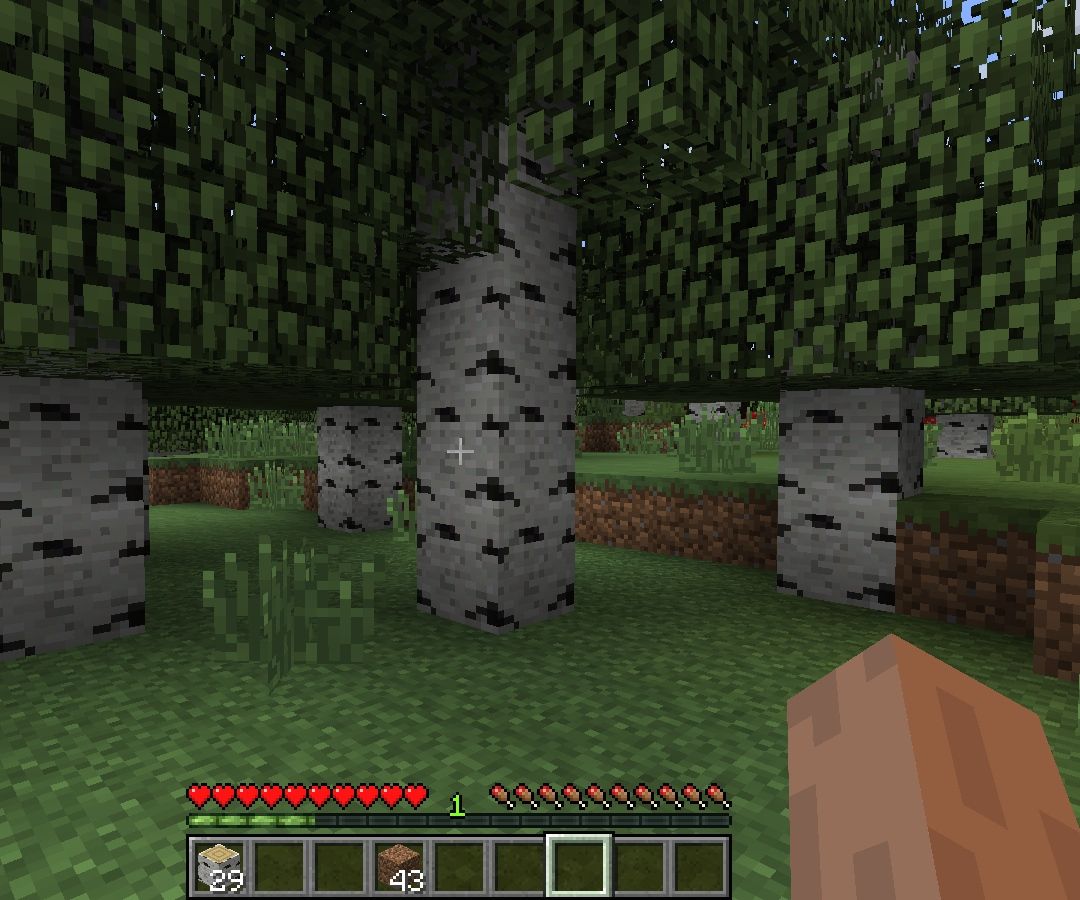 How to Survive Your First Day in Minecraft : 10 Steps (with Pictures ...