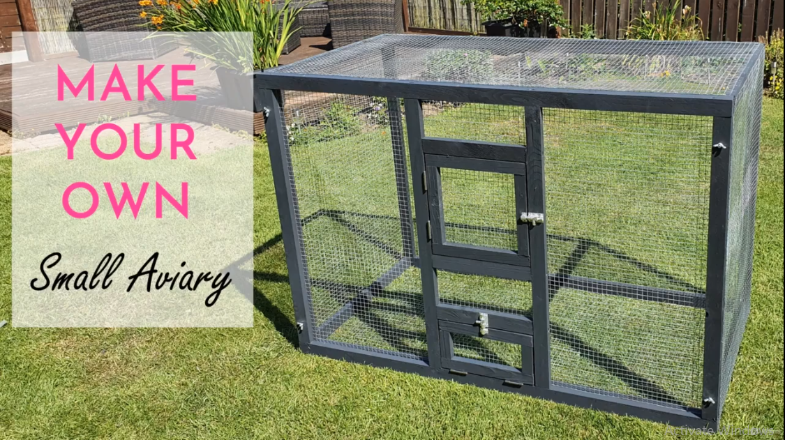 DIY Small Aviary : 11 Steps - Instructables