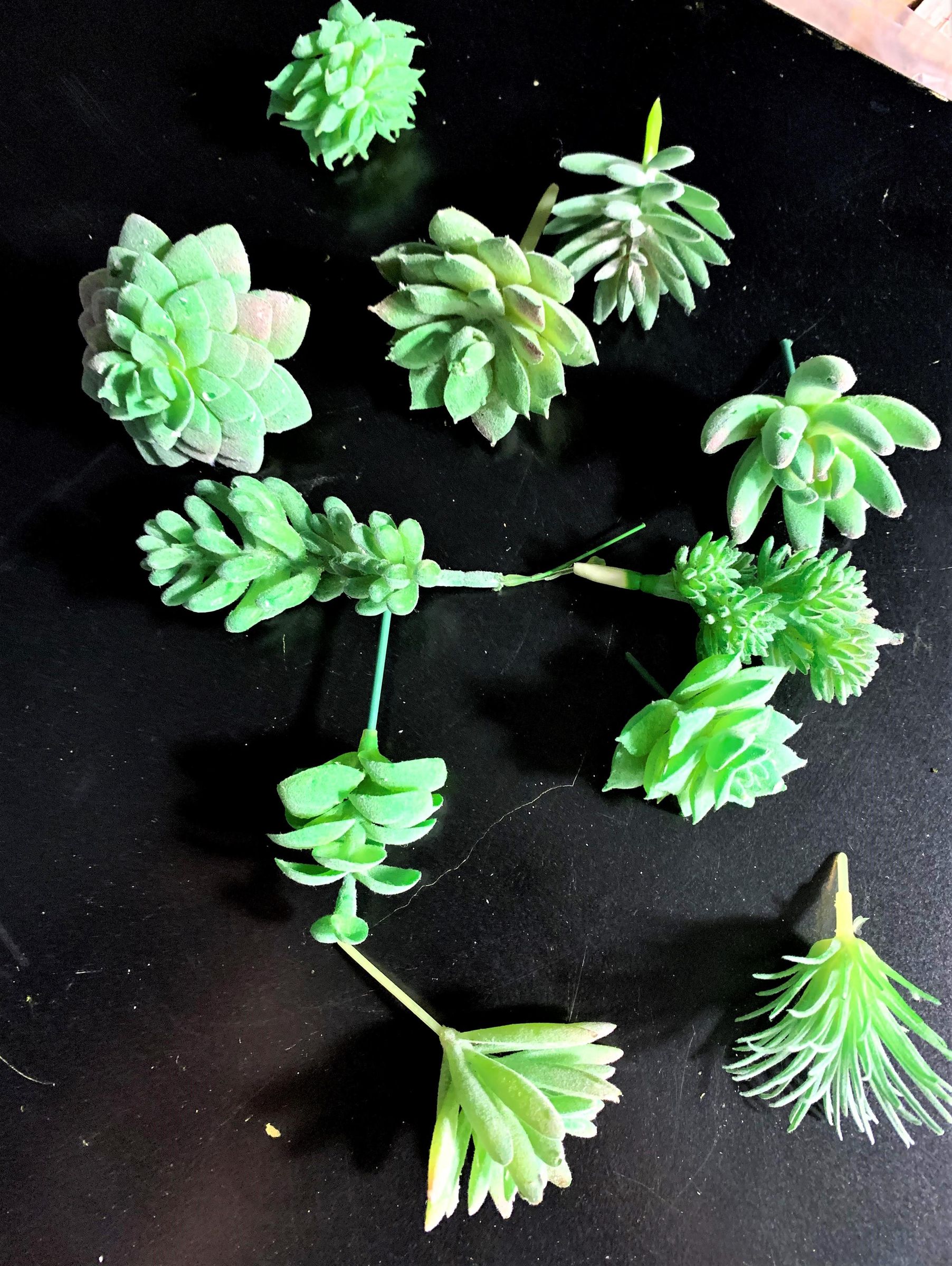 Repurposed Glass Chandelier Into Live Moss Drip Wall and Faux Terrarium ...