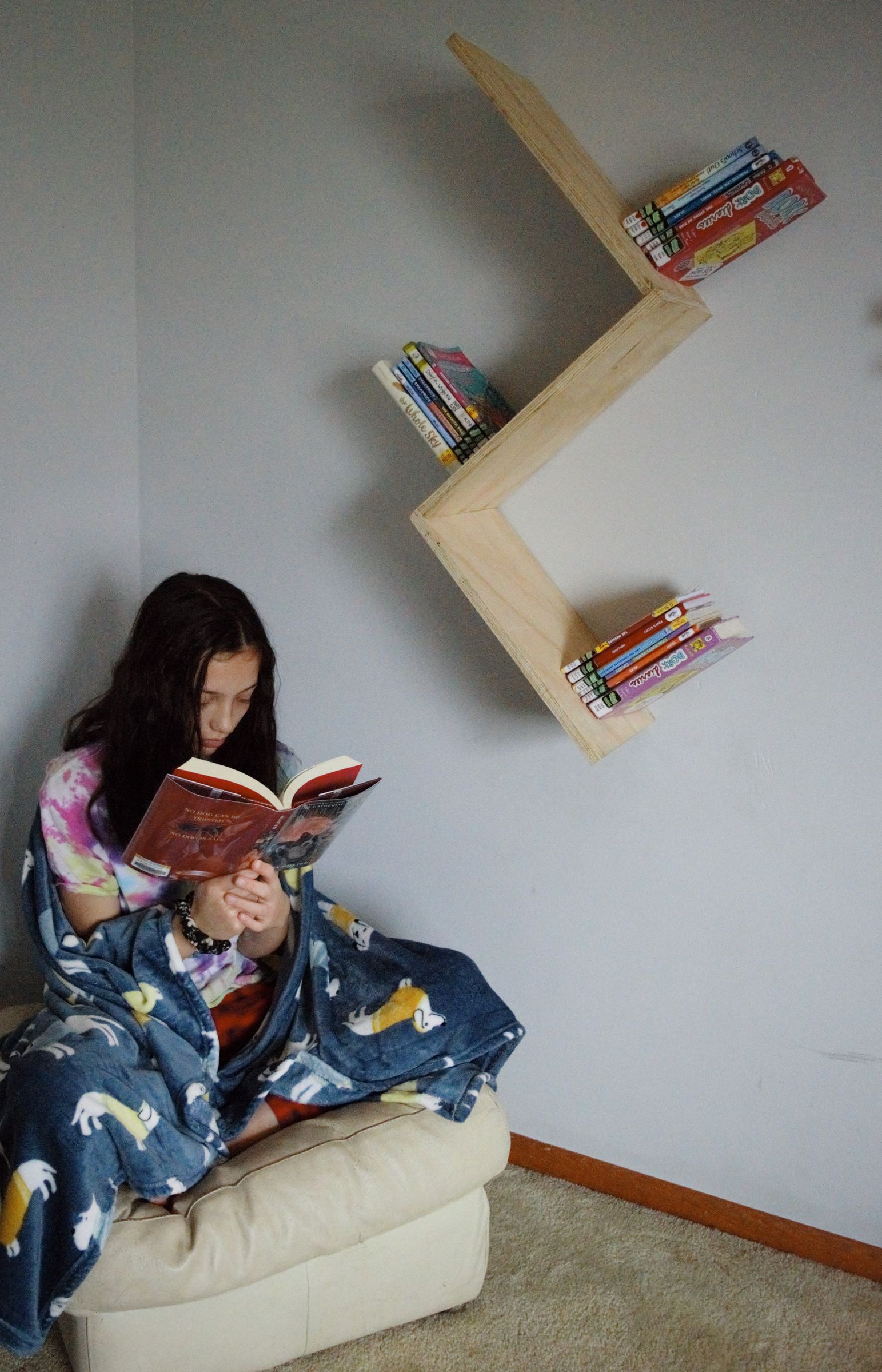 The Impossible Bookshelf : 25 Steps (with Pictures) - Instructables