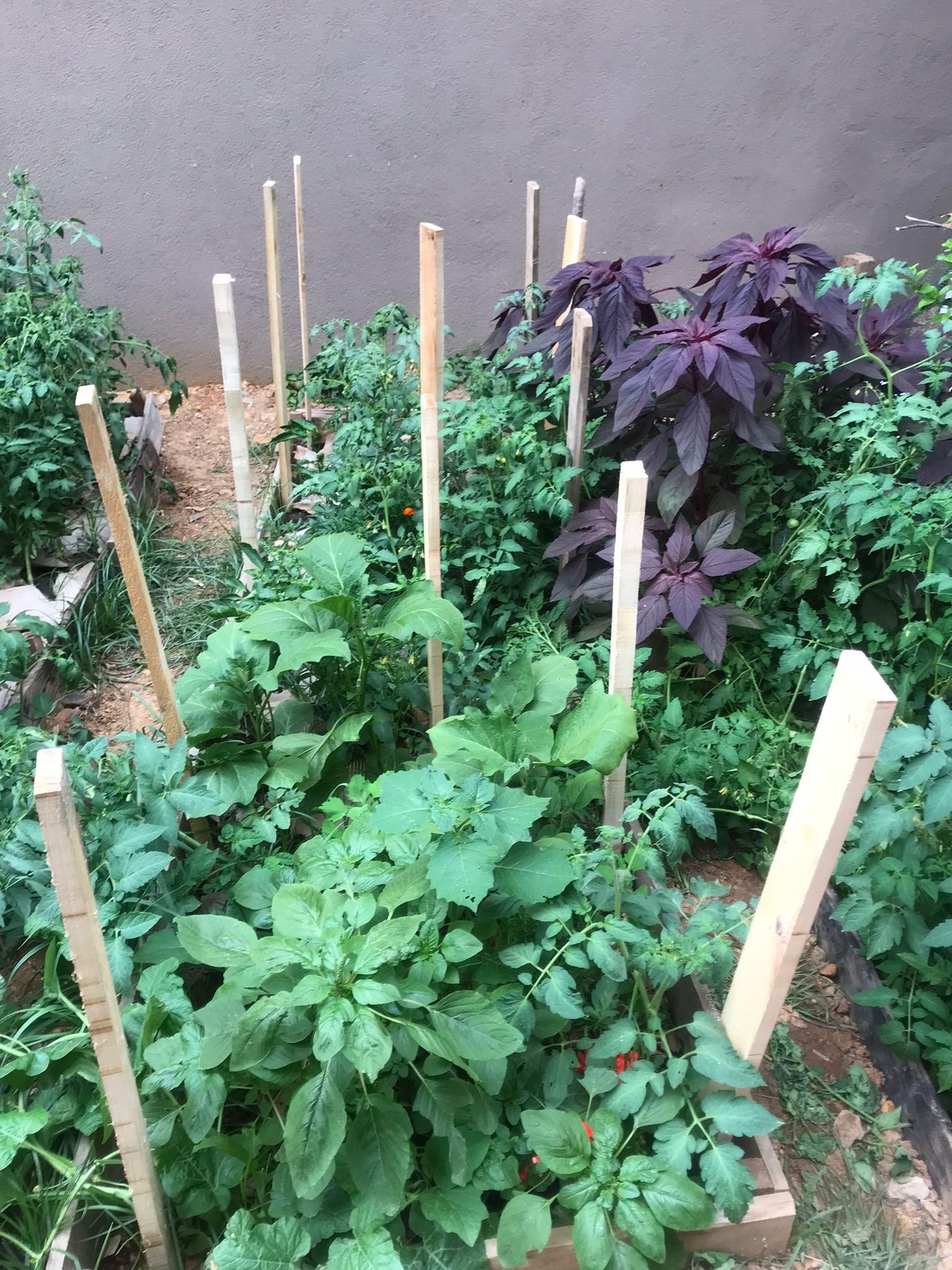 Plant Support Stakes : 4 Steps - Instructables