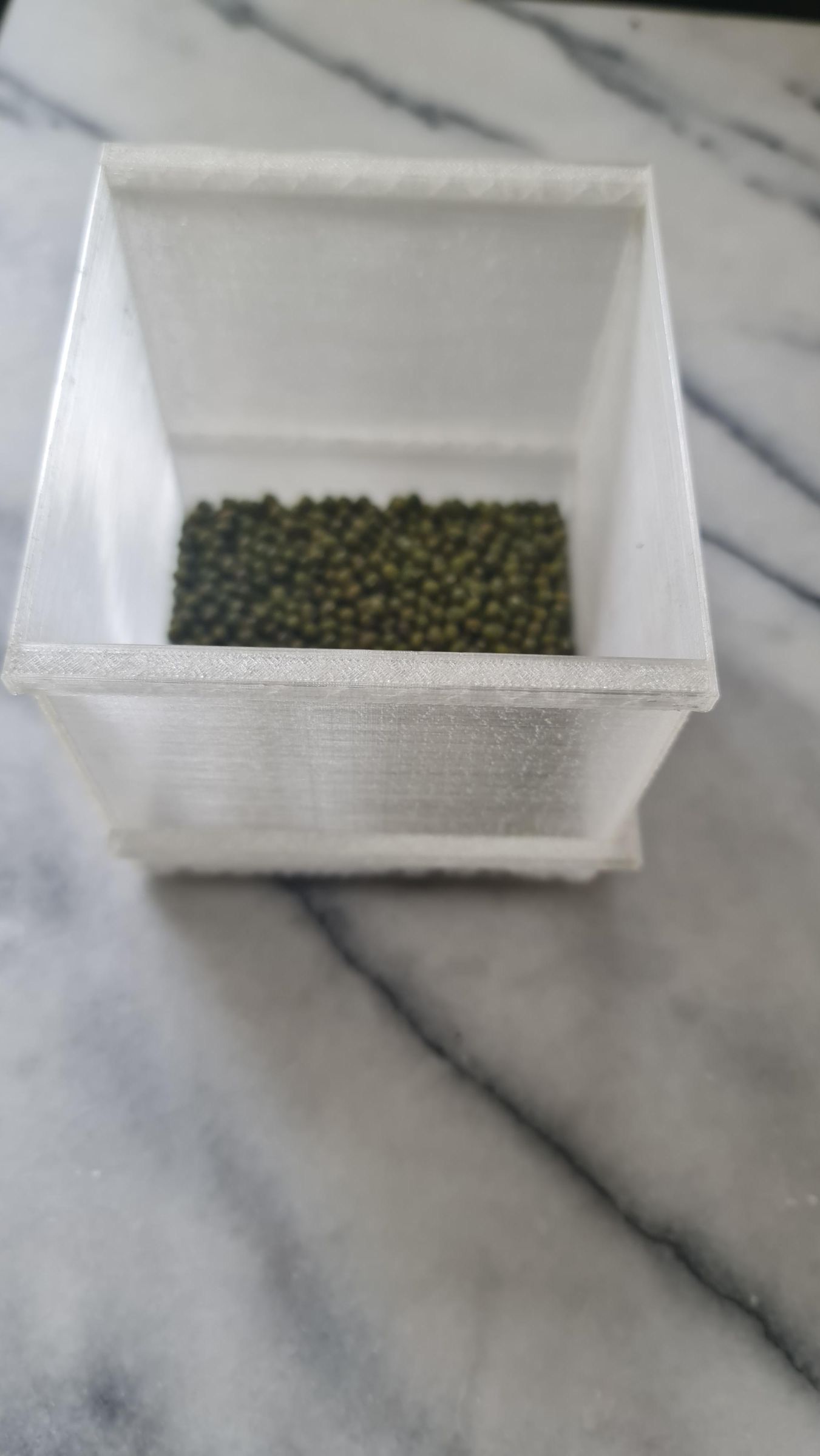 Automated Bean Sprouter : 8 Steps (with Pictures) - Instructables