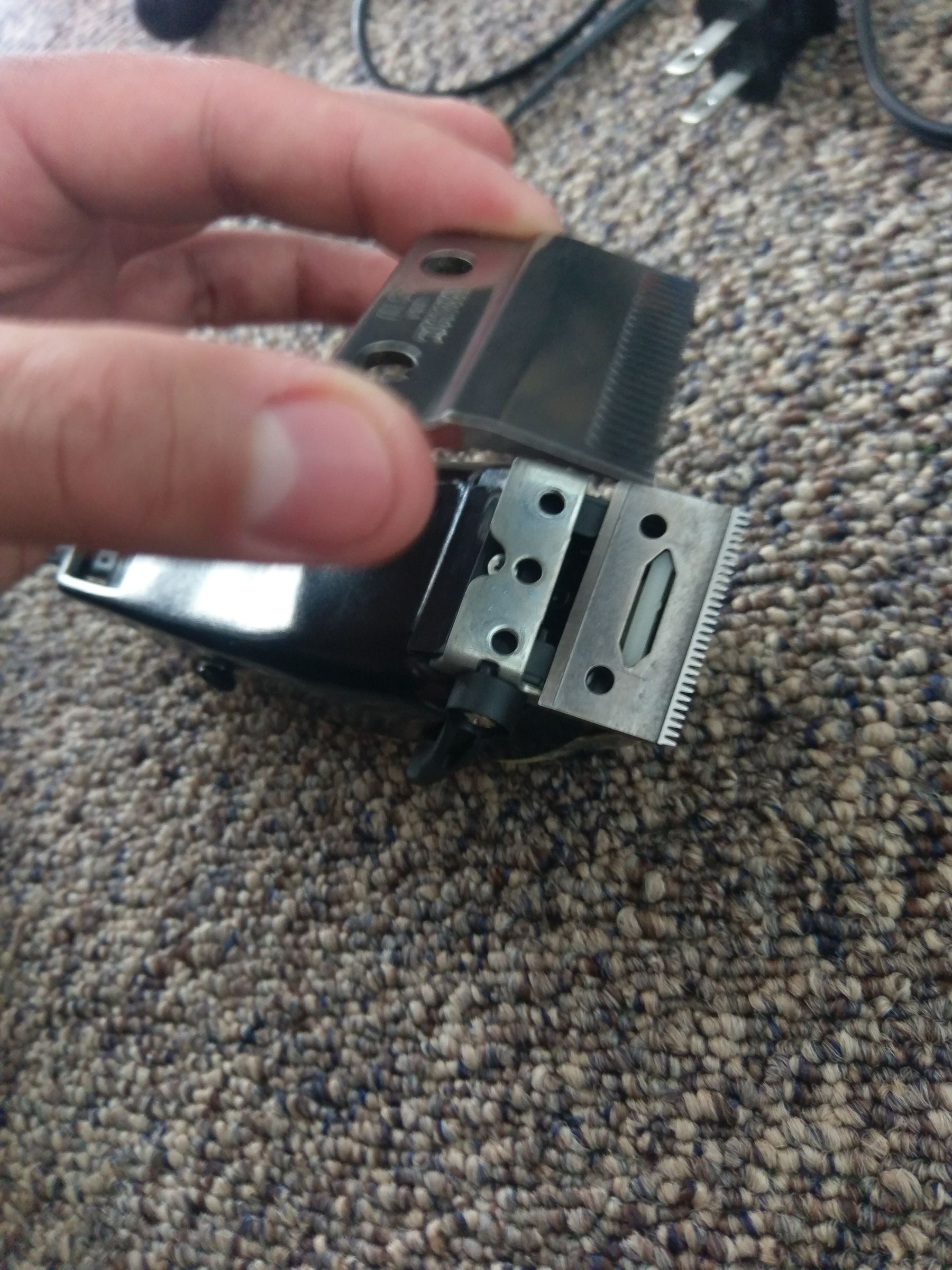 Clipper Maintenance : 5 Steps (with Pictures) - Instructables