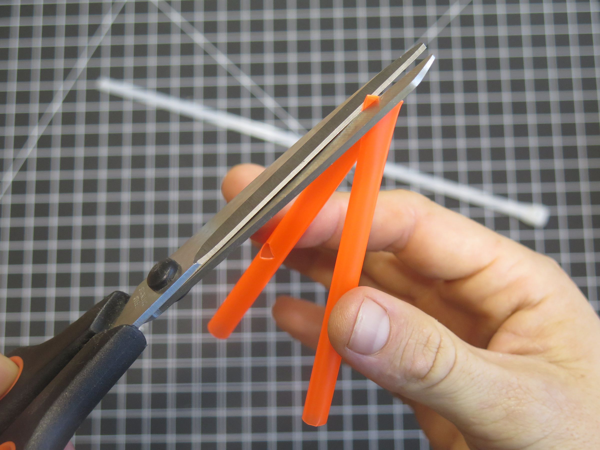 Chicken Foot Dissection : 7 Steps - Instructables