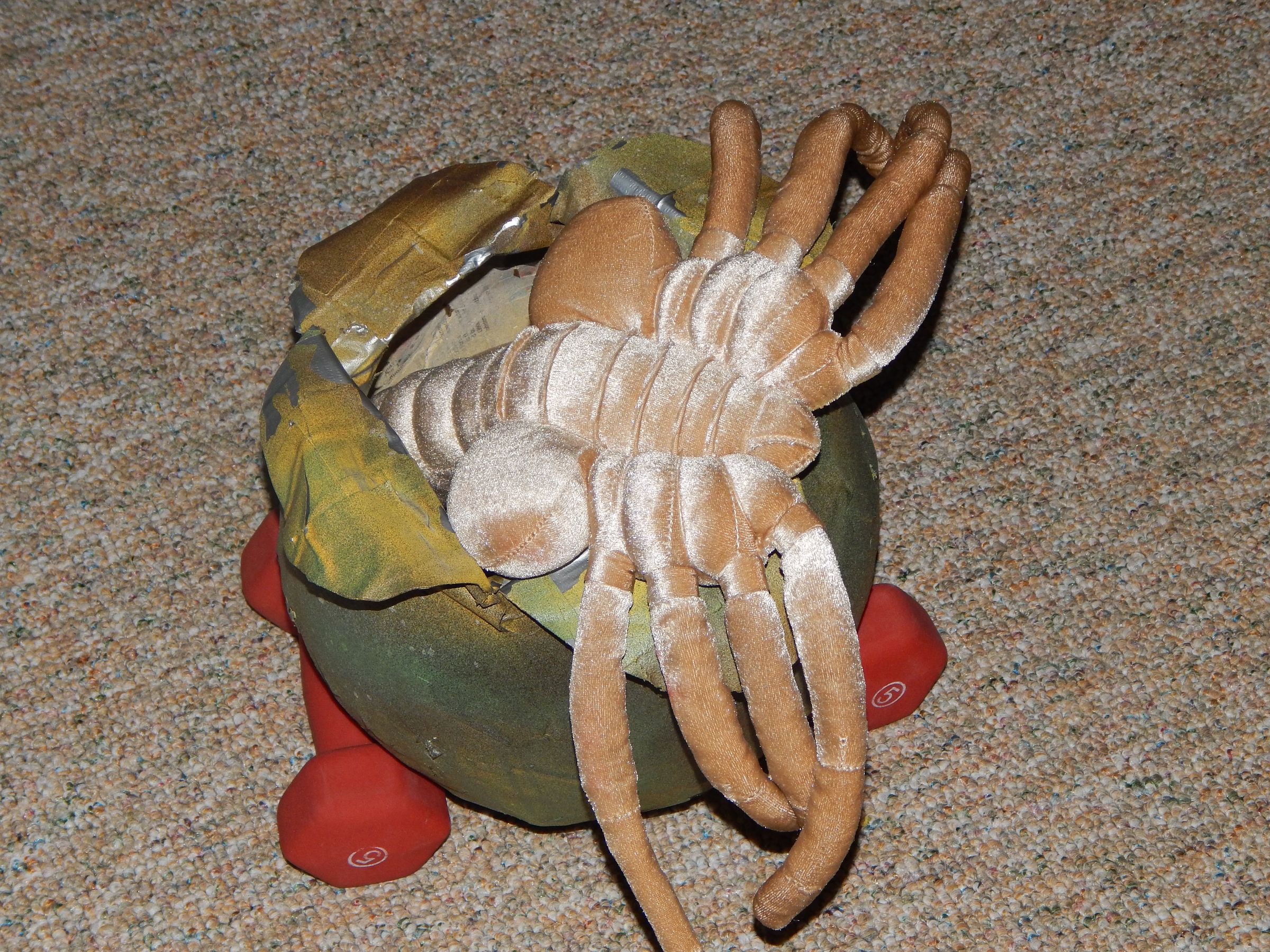 Alien: the Alien Egg : 5 Steps - Instructables