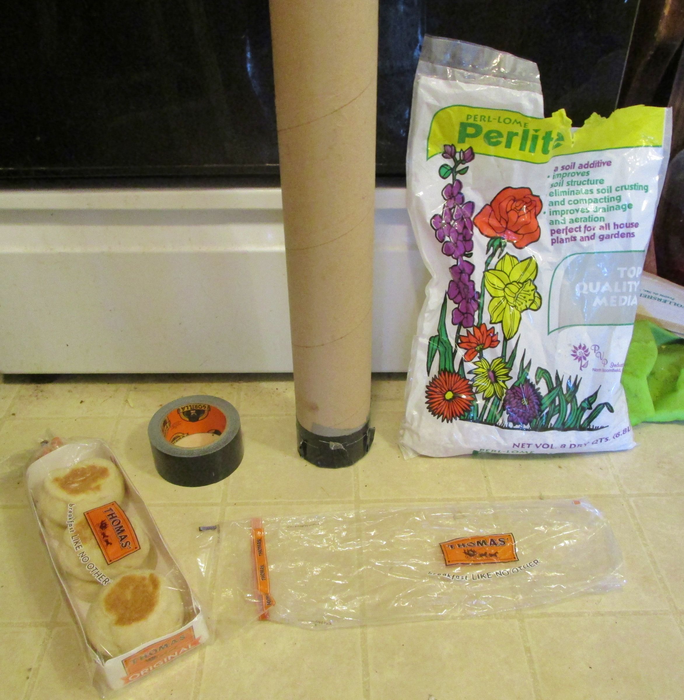Plant Oak Tree Ready to Transplant : 7 Steps - Instructables