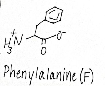 How to Draw Peptide Chains : 18 Steps (with Pictures) - Instructables