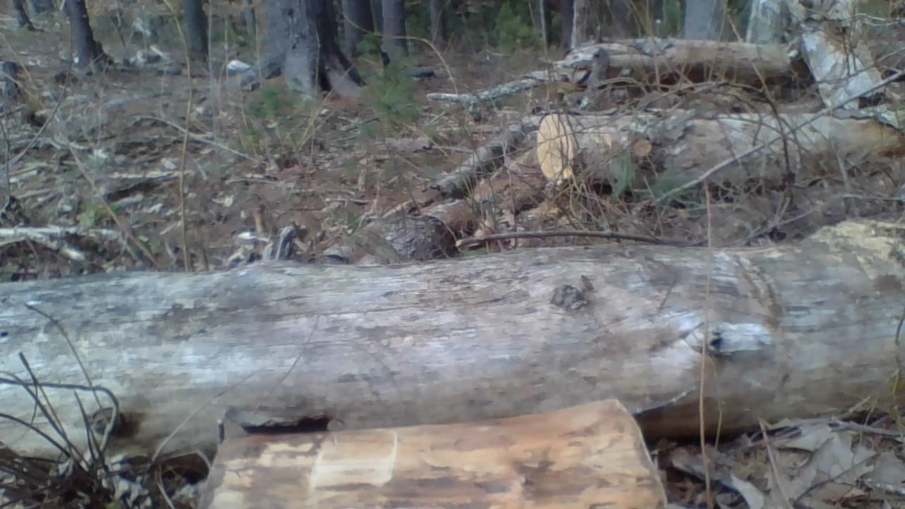 DIY Lever Lifter : 4 Steps - Instructables