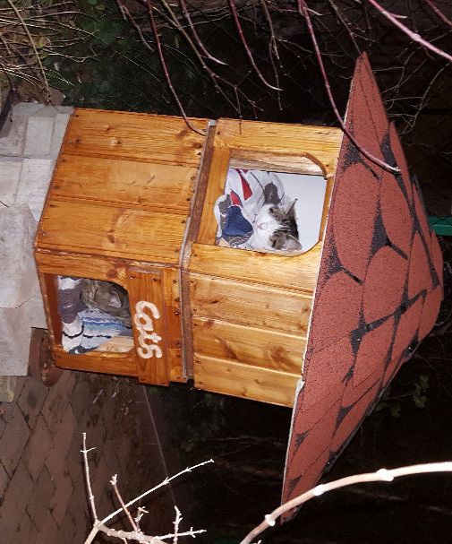 Double Floor Cat House : 11 Steps (with Pictures) - Instructables