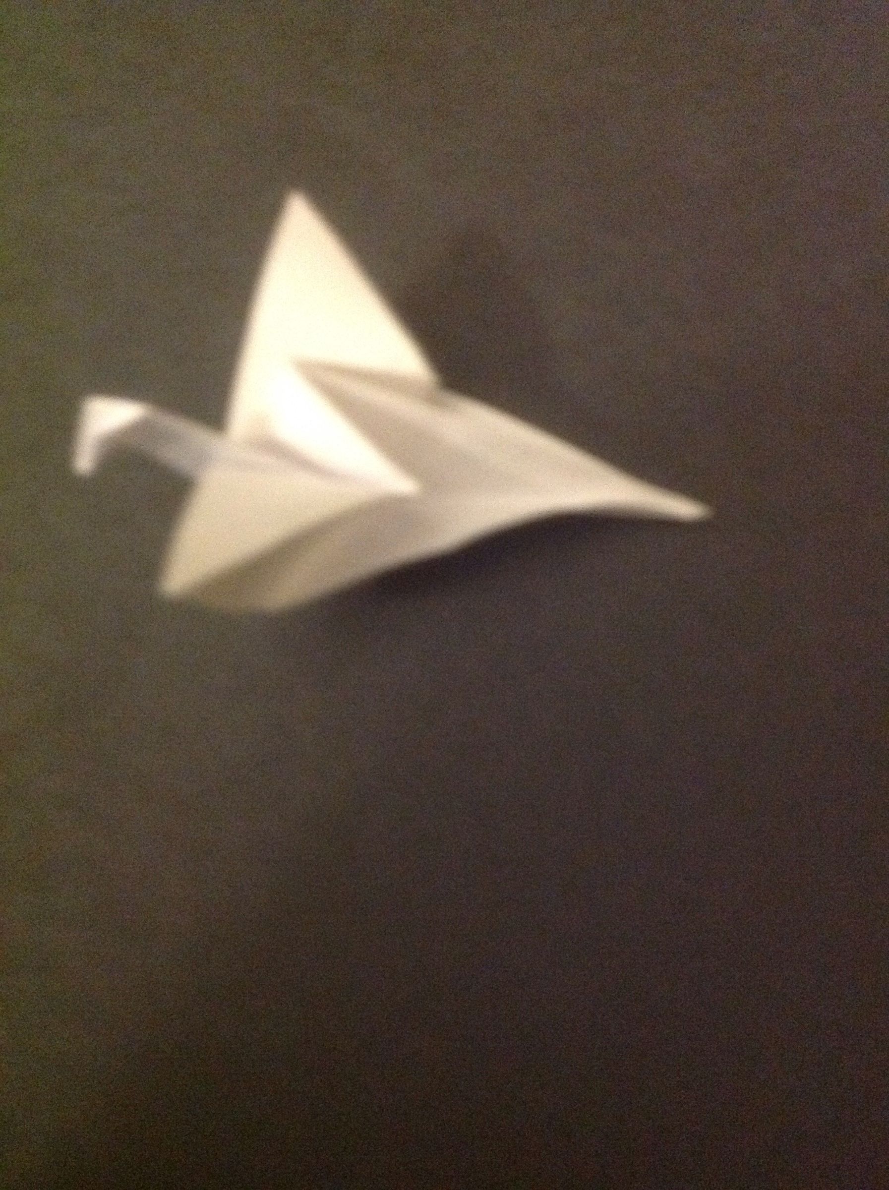 Origami Flapping Bird : 8 Steps - Instructables