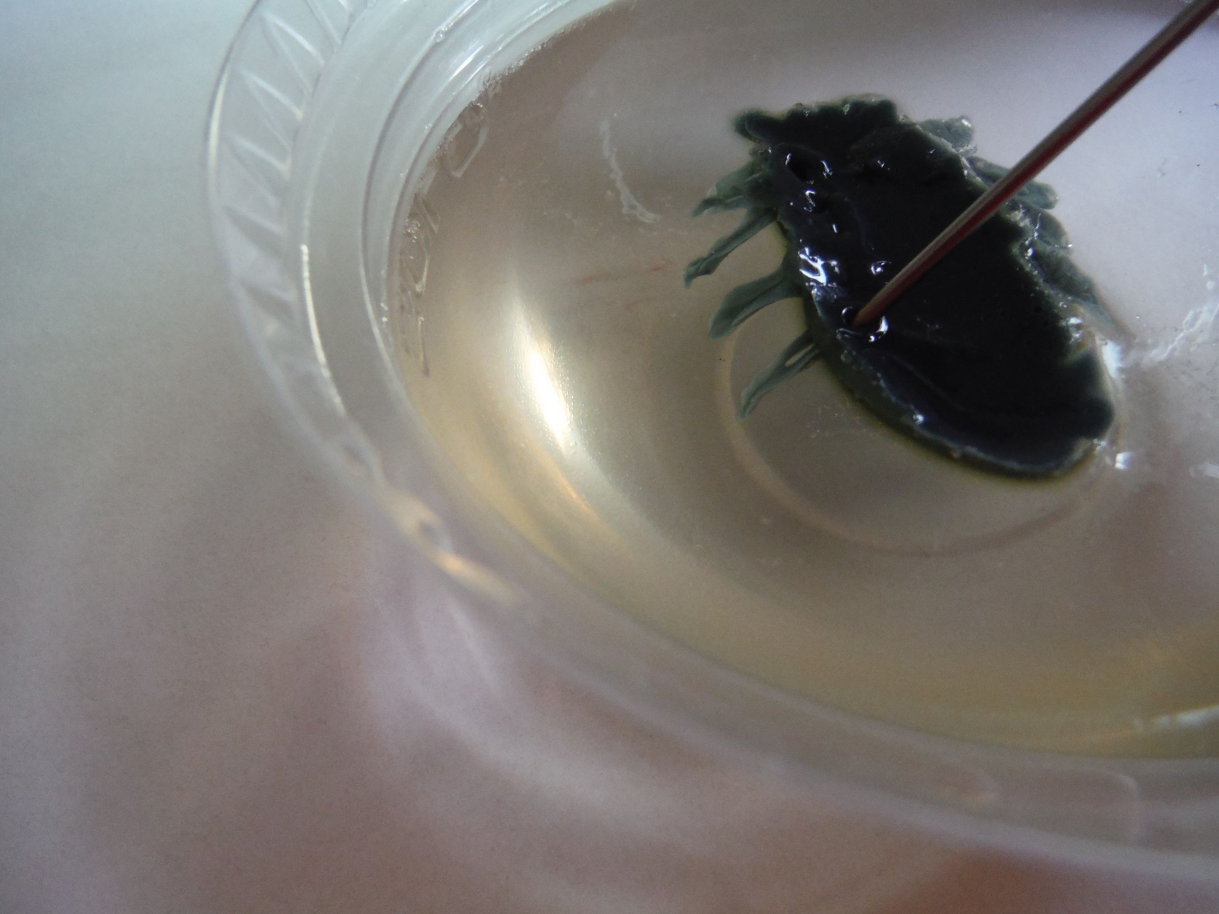 How to Make (edible) Creepy Things Encapsulated in Gelatin : 10 Steps ...