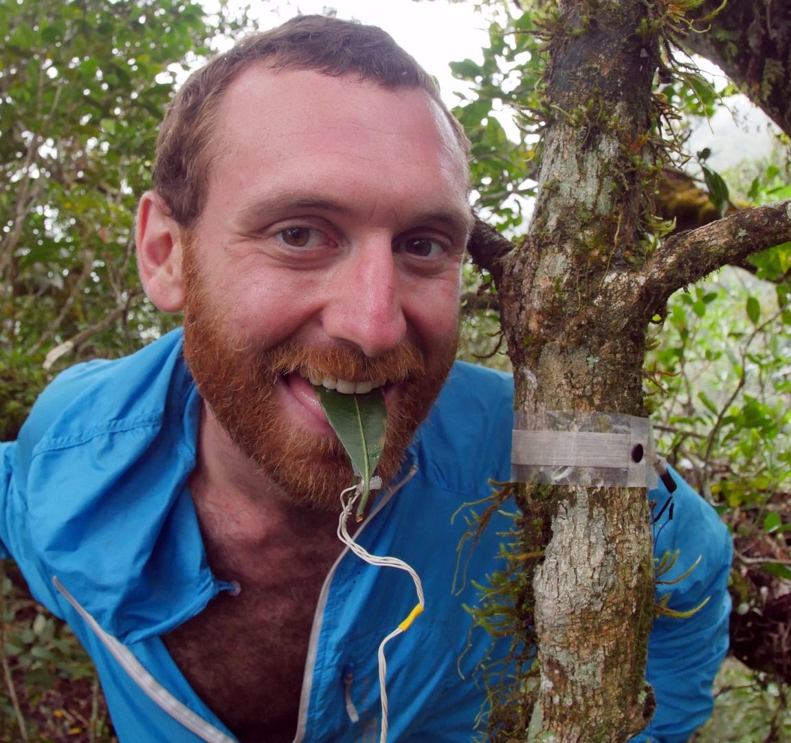 Fiber-Optic Jungle Insect Traffic Taster : 17 Steps (with Pictures ...