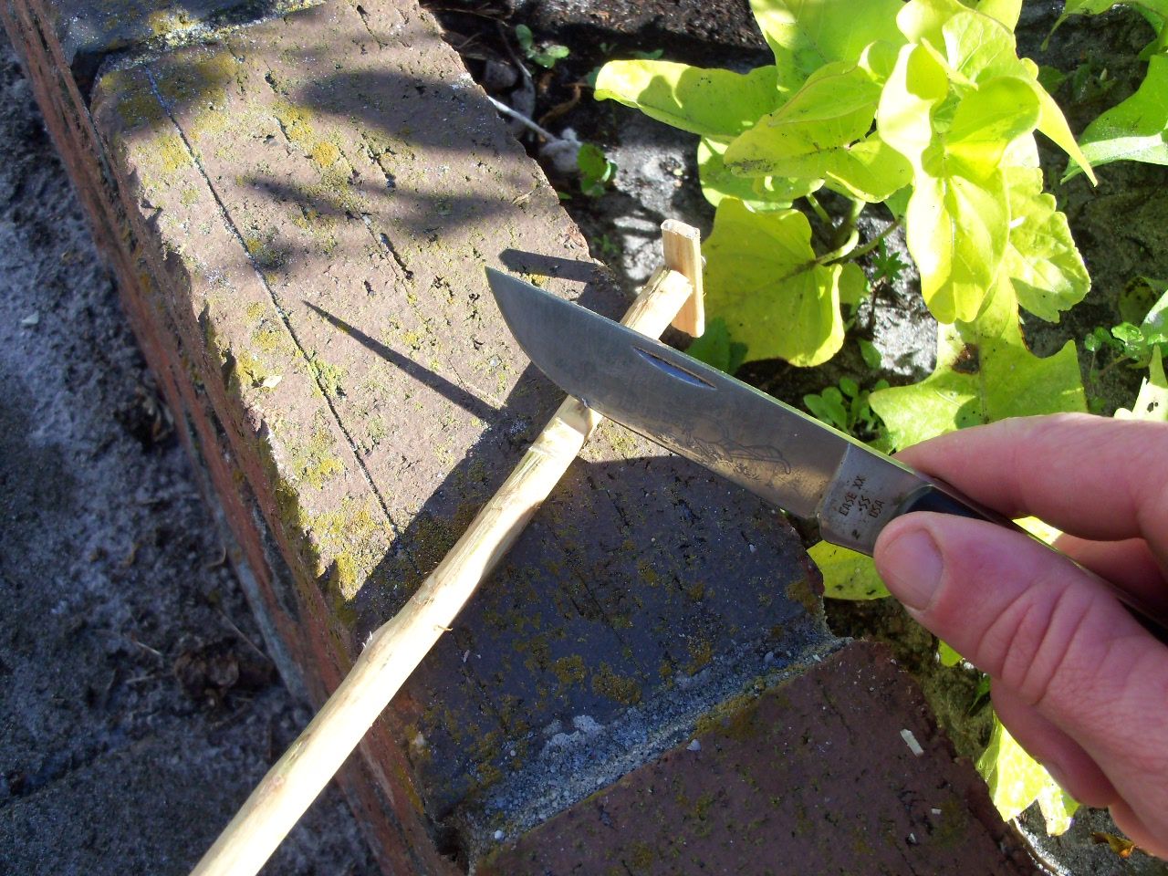 I Have a Whammy Diddle in My Pocket - How to Make a Gee-haw Stick Toy ...