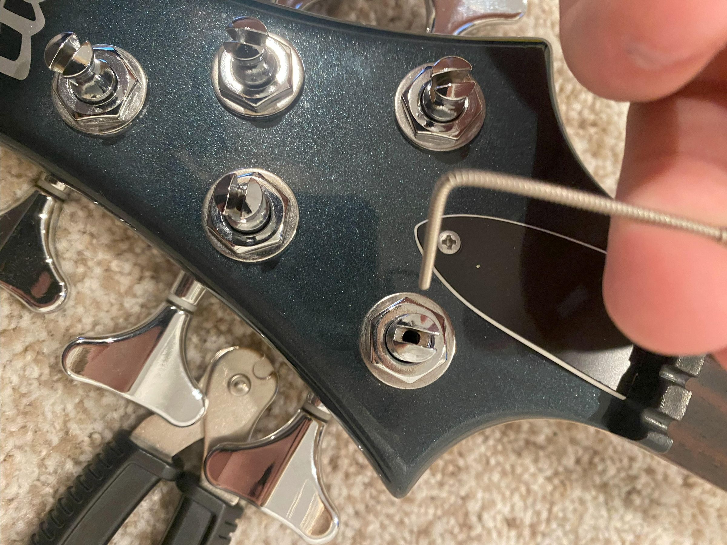 Bass Care 101: the Complete Guide to Basic Bass Care and Maintenance ...