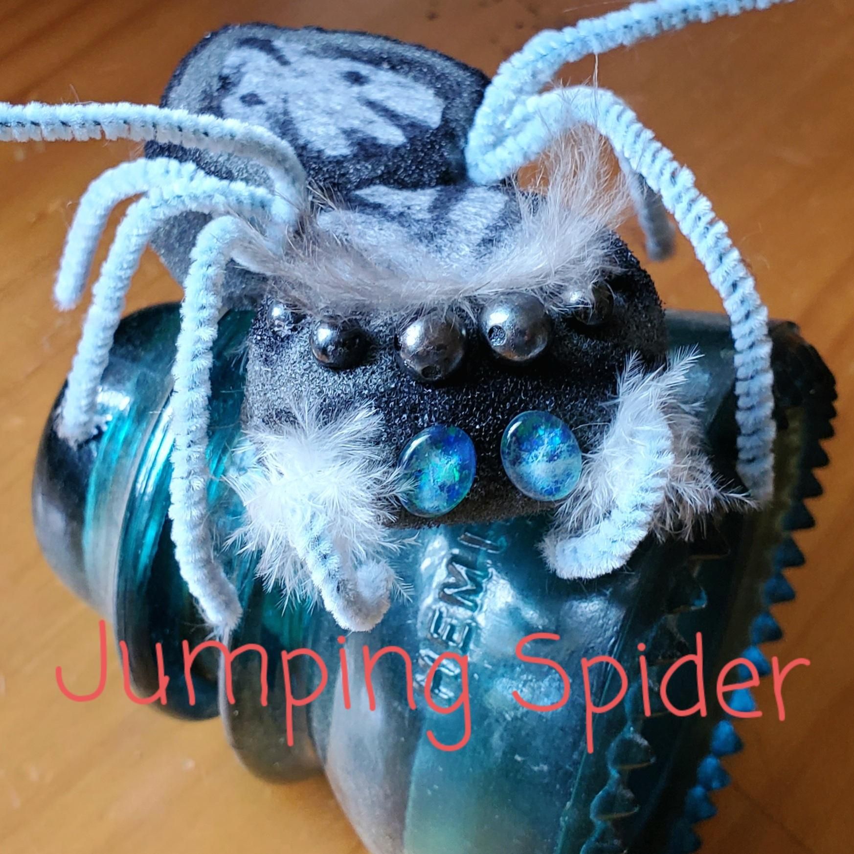 Jumping Spider : 9 Steps (with Pictures) - Instructables