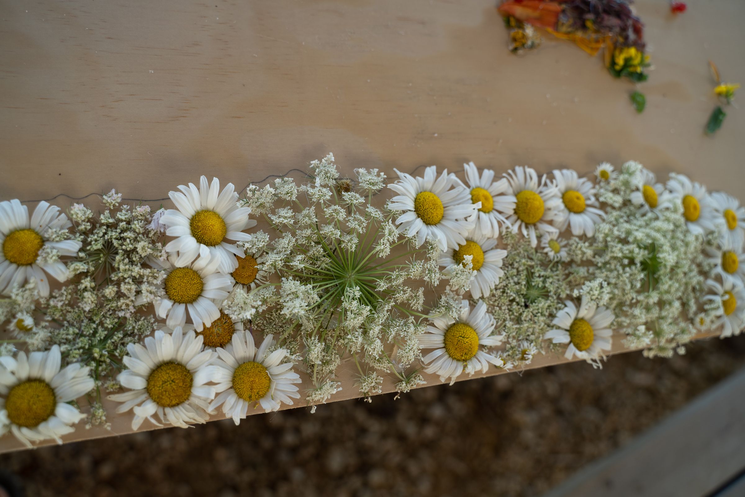 Creating a Map With Flowers + Constructing Your Own Artistic Style : 5 ...