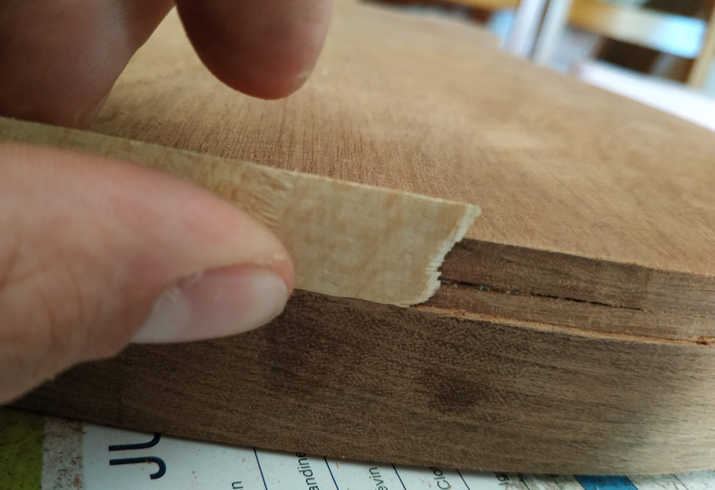 Building a Guitar: Telecaster Thinline : 12 Steps (with Pictures ...