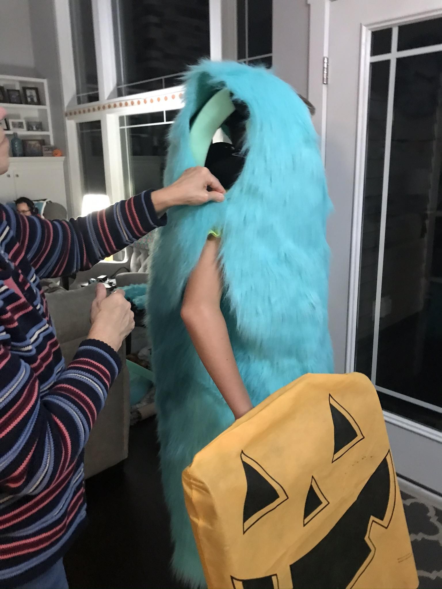 Sulley (Trademark Disney) Monster Homemade Halloween Costume : 11 Steps ...