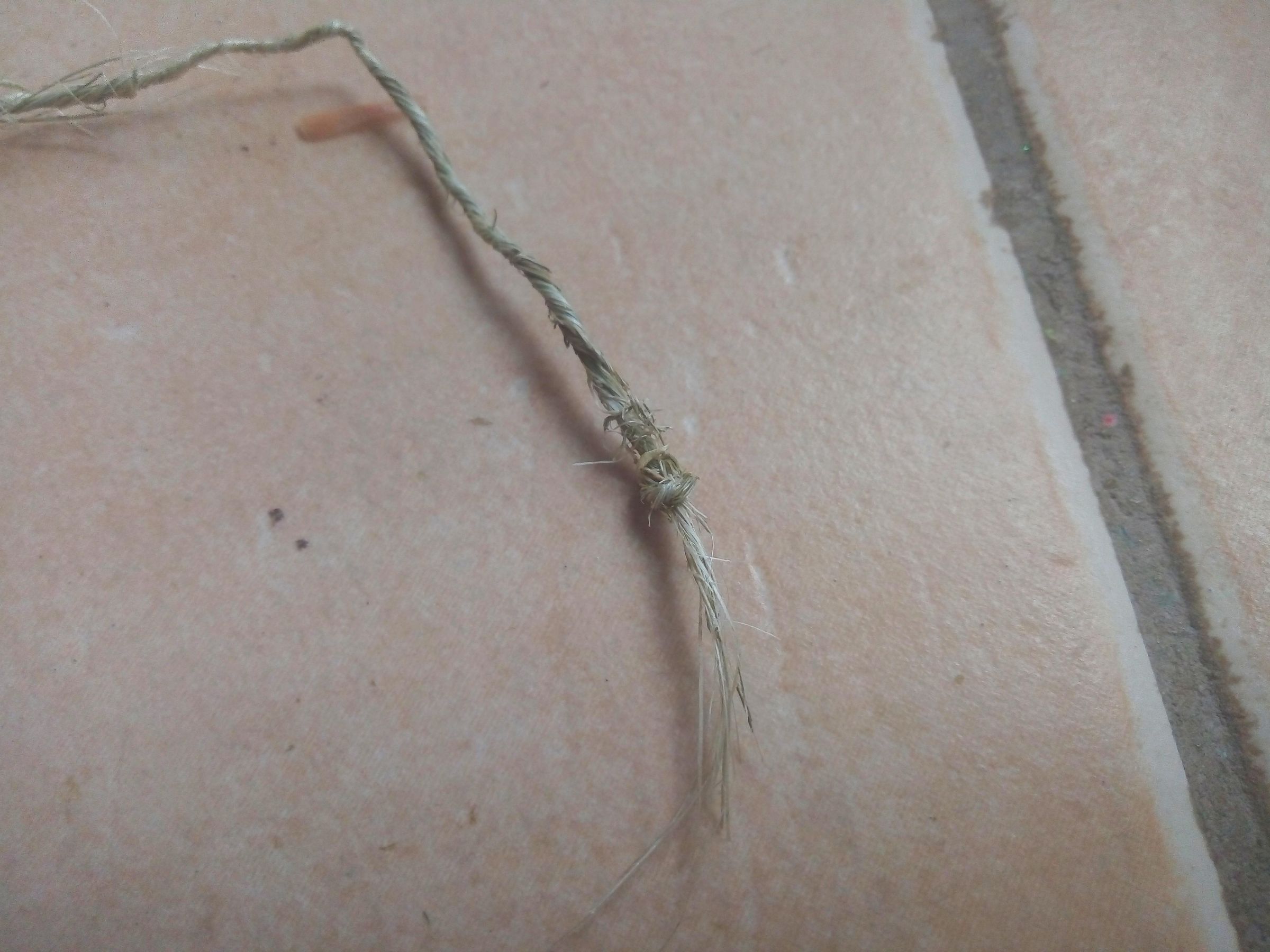 How to Make Rope / String With Natural Plant Fibers : 6 Steps (with ...