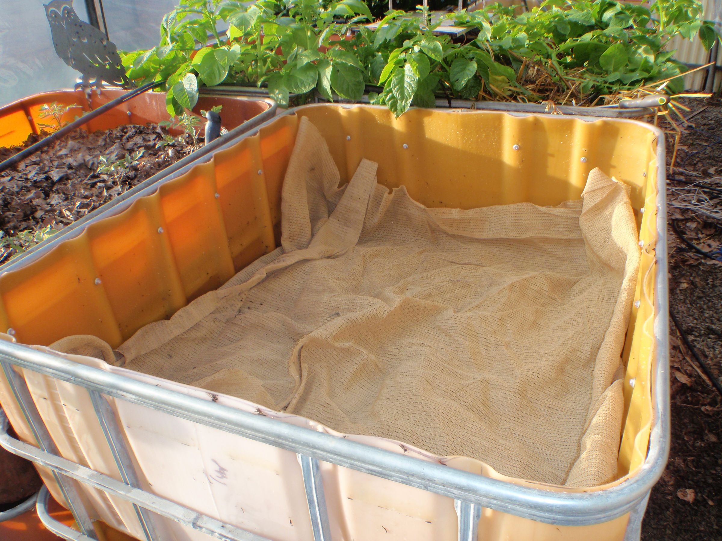 Vermiponic Garden : 12 Steps (with Pictures) - Instructables