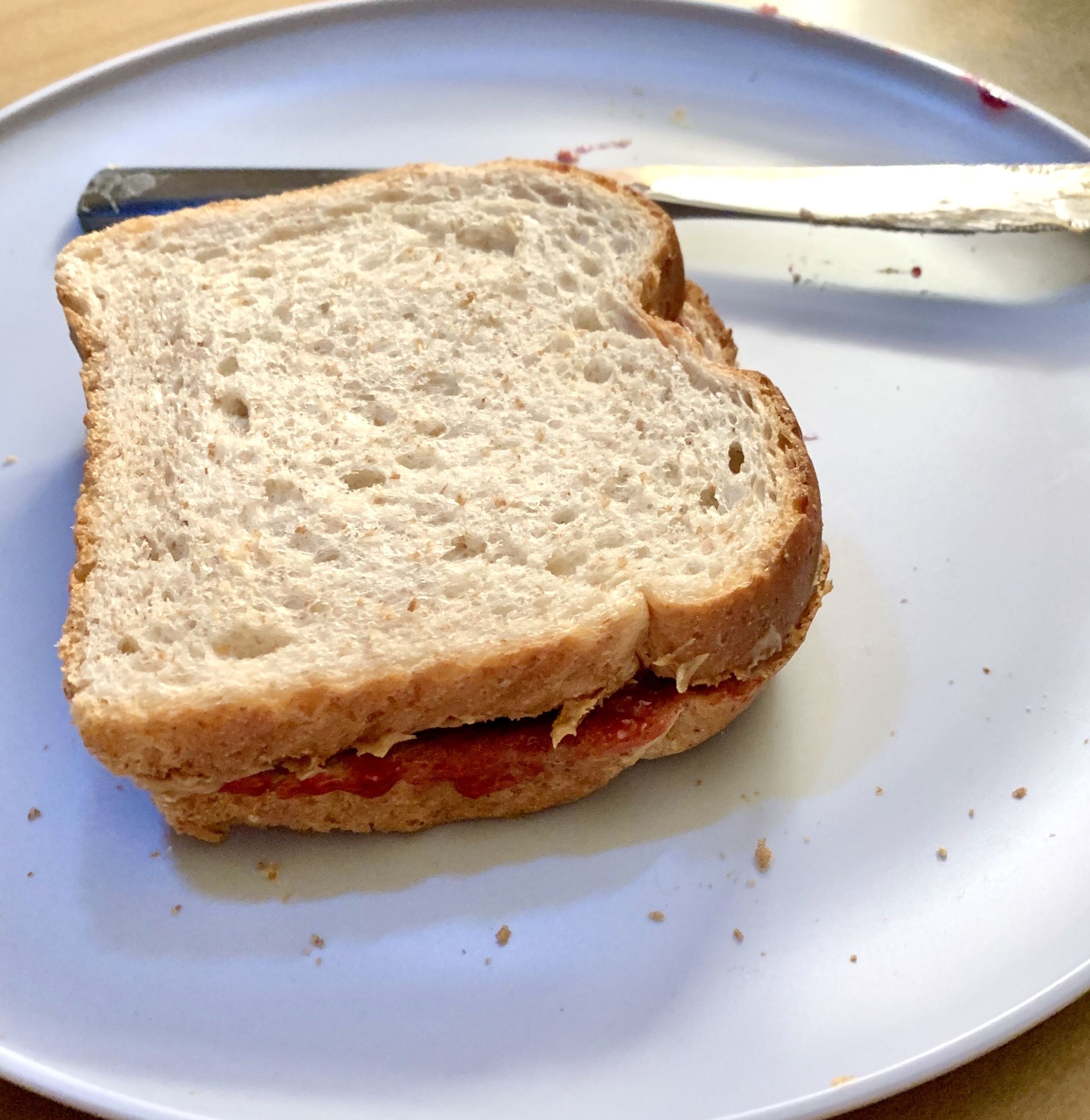 How to Make a Peanut Butter & Jelly Sandwich : 12 Steps - Instructables