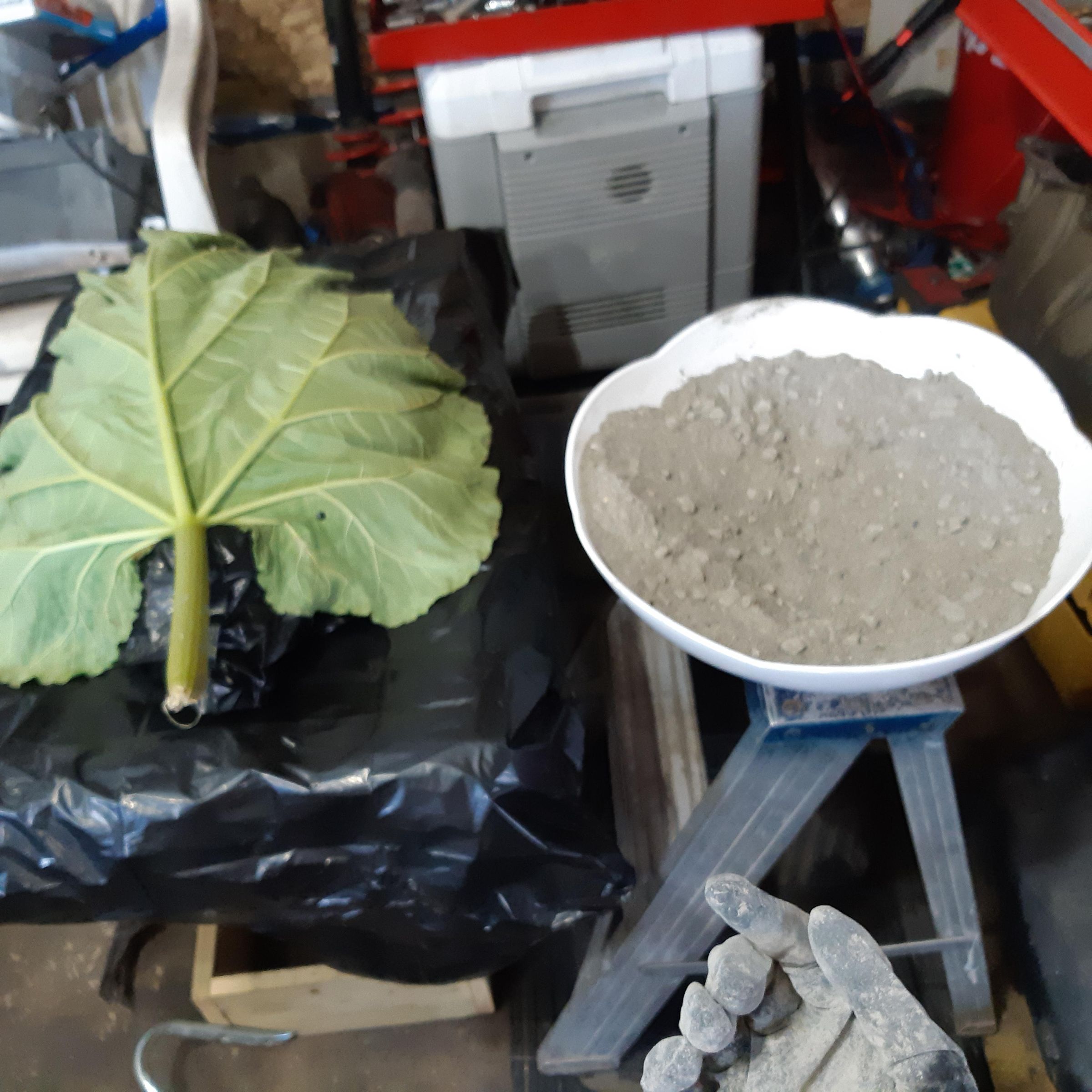 Concrete Rhubarb Leaf Garden Decor : 8 Steps (with Pictures ...