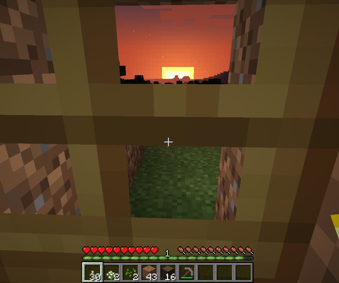 How to Survive Your First Day in Minecraft : 10 Steps (with Pictures ...