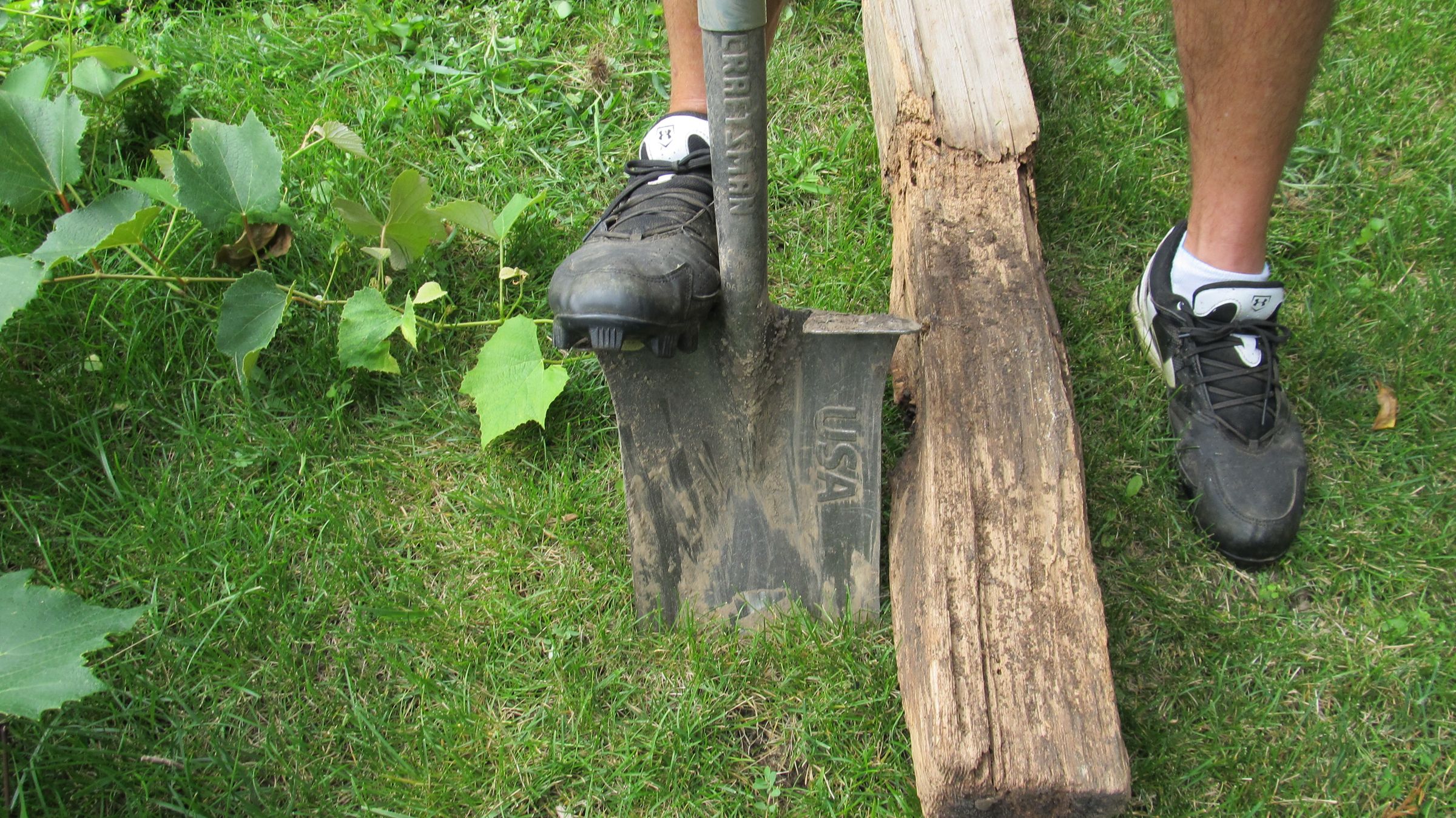 Grape Vine Trellis From a Salvaged Split-Rail Fence : 7 Steps (with ...