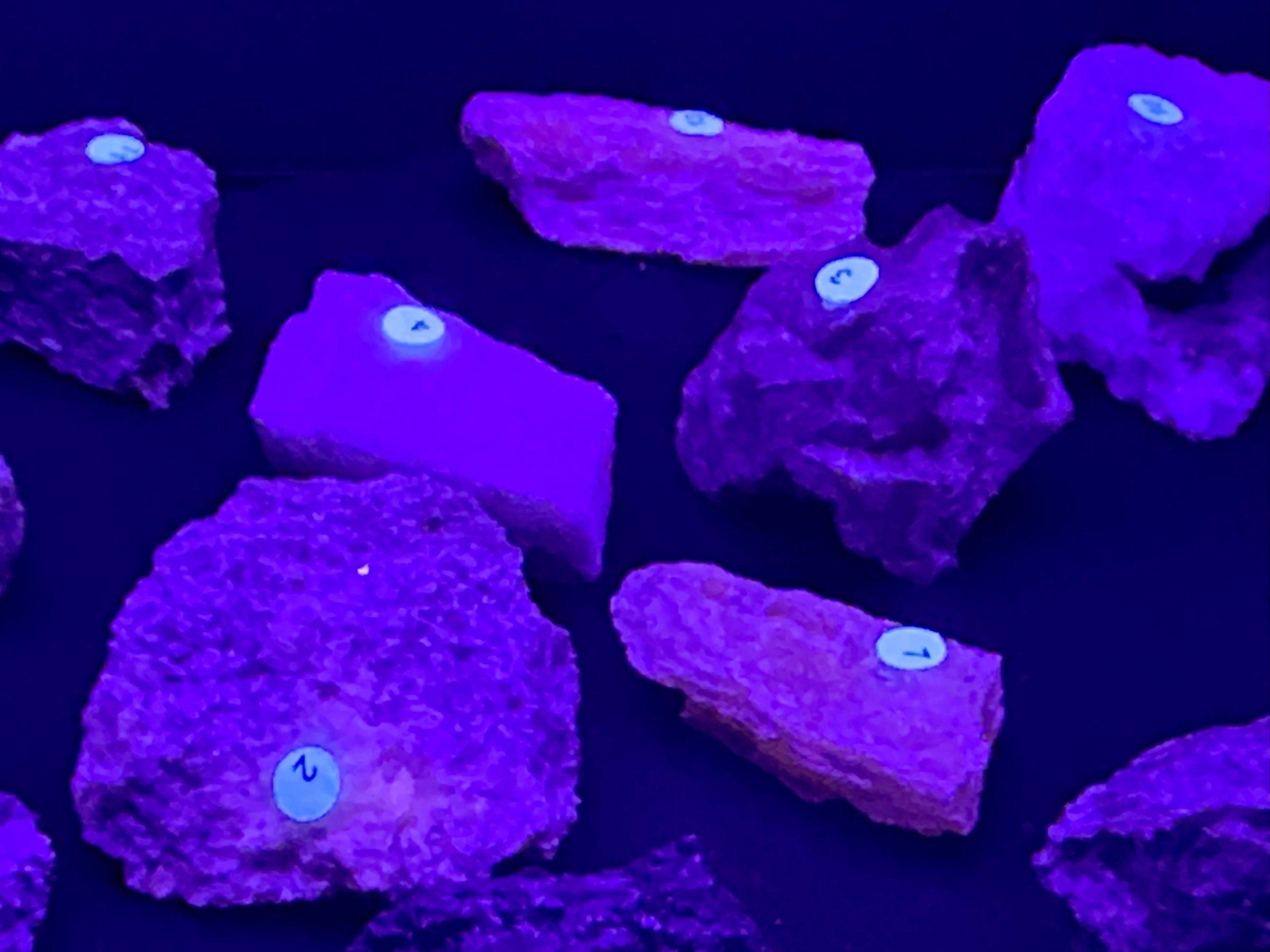 Build a Simple UV Photography Box : 25 Steps (with Pictures ...