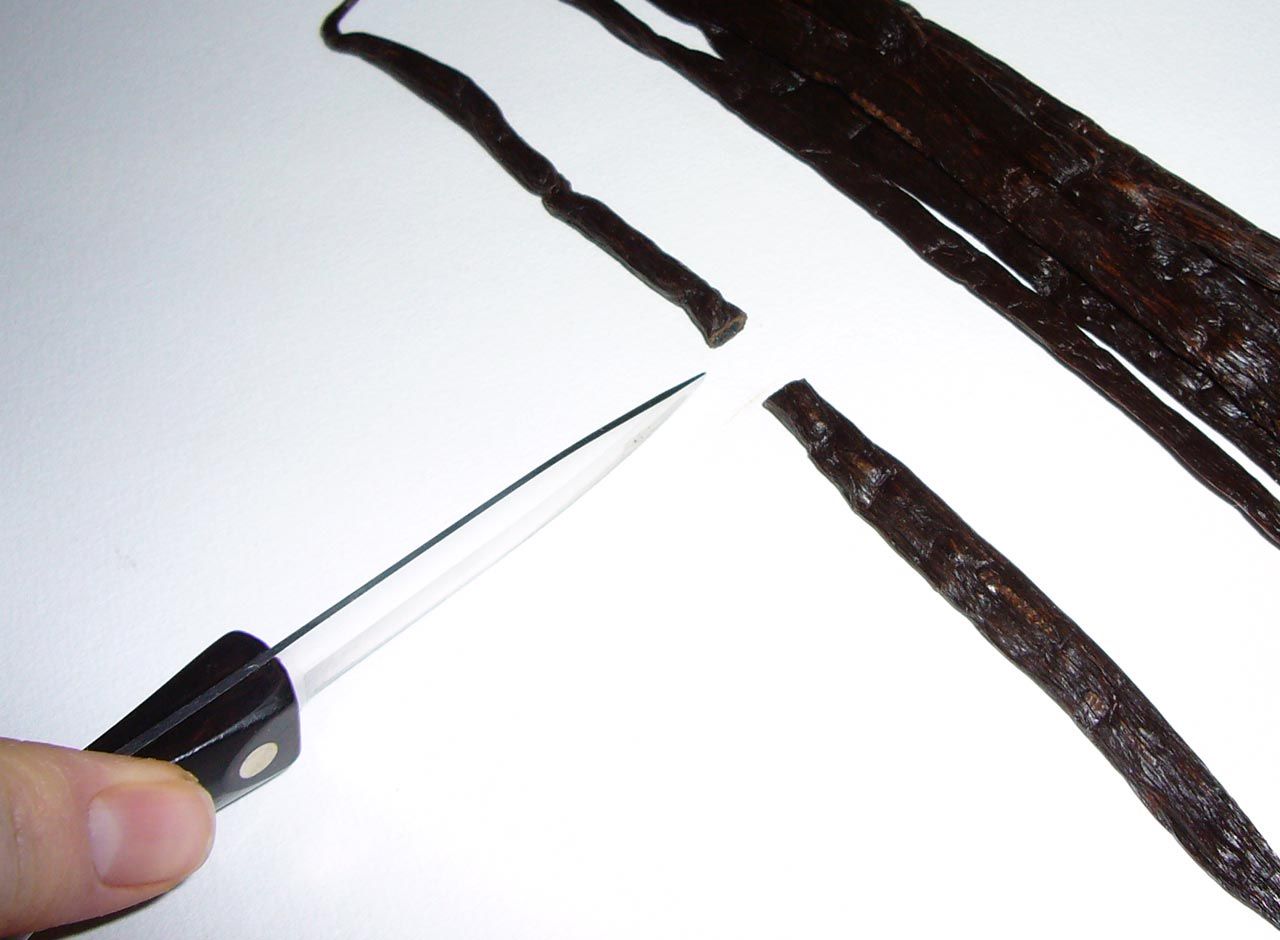 Make Vanilla Extract : 23 Steps (with Pictures) - Instructables