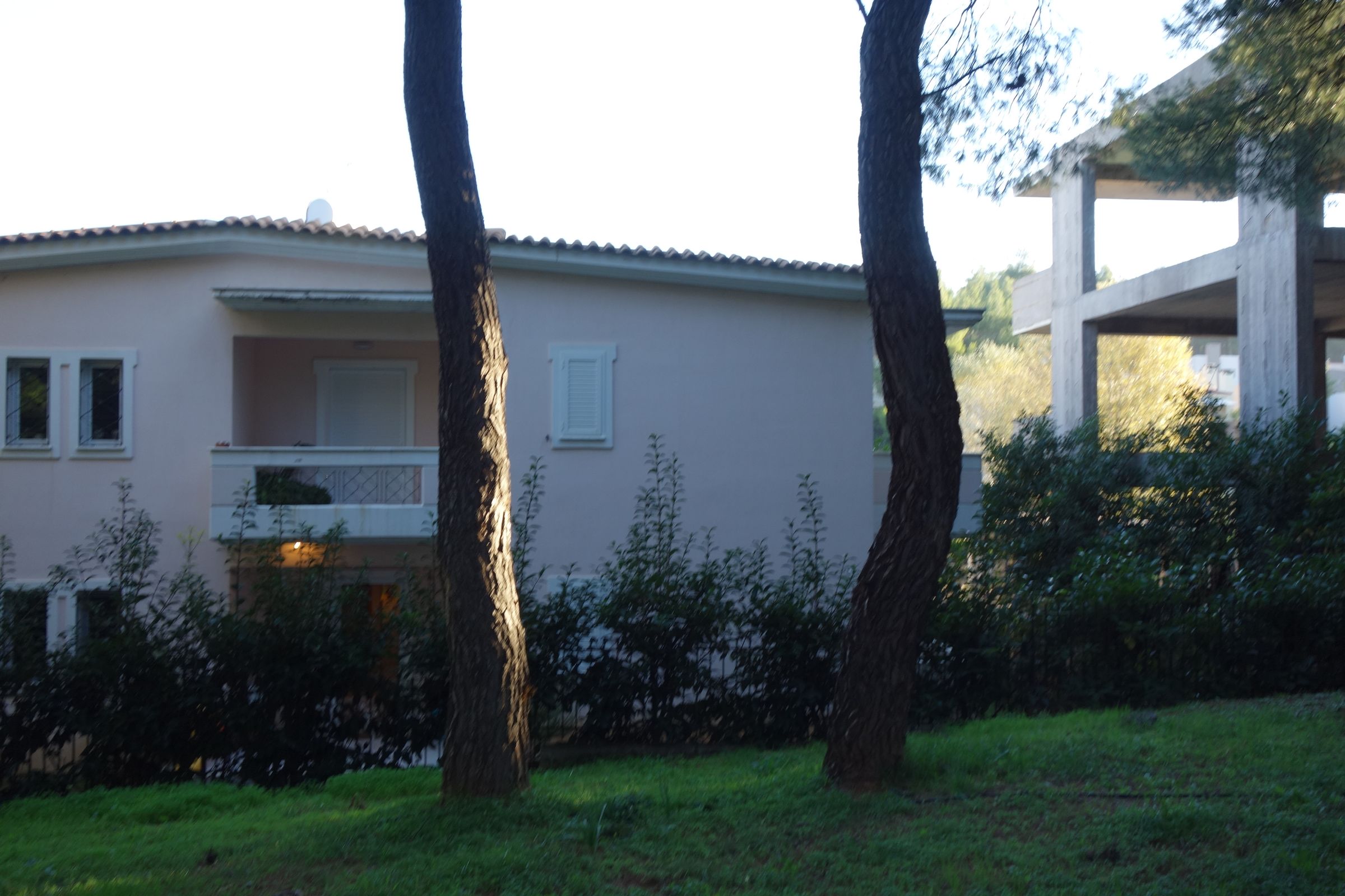 Treehouse on Two Trees : 22 Steps (with Pictures) - Instructables