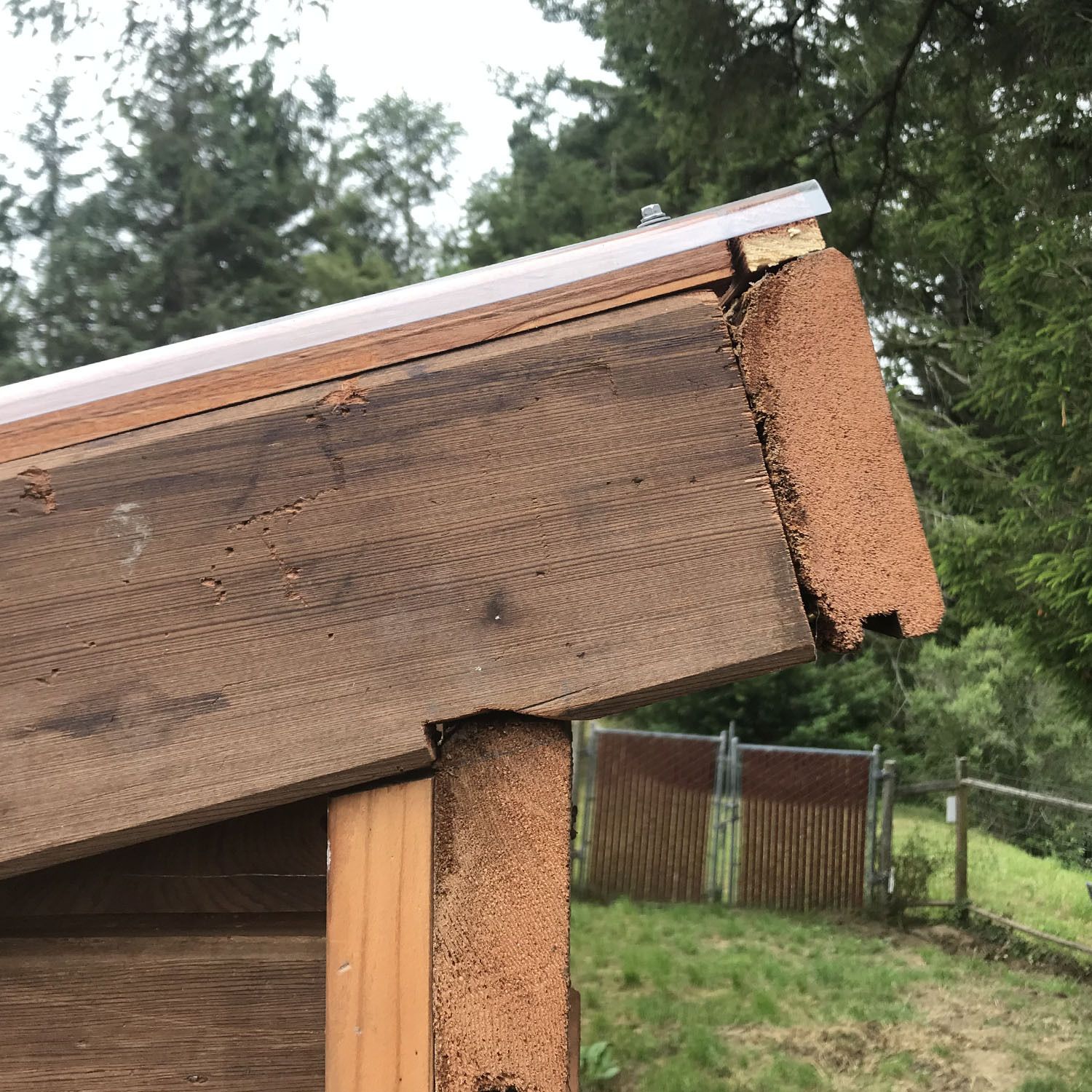 Hen Saloon : 16 Steps (with Pictures) - Instructables